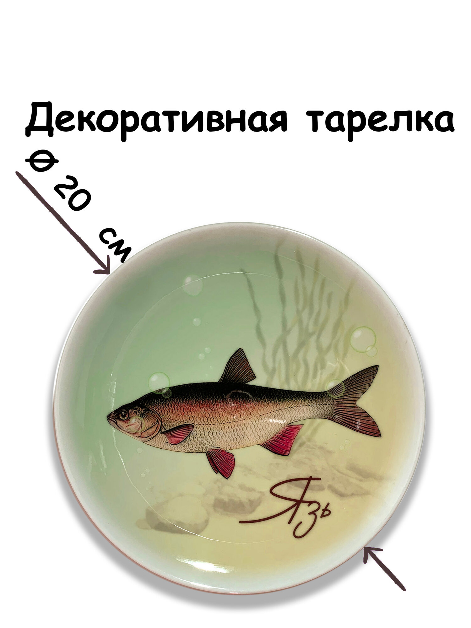Декоративная тарелка с изображением язя исп.3т