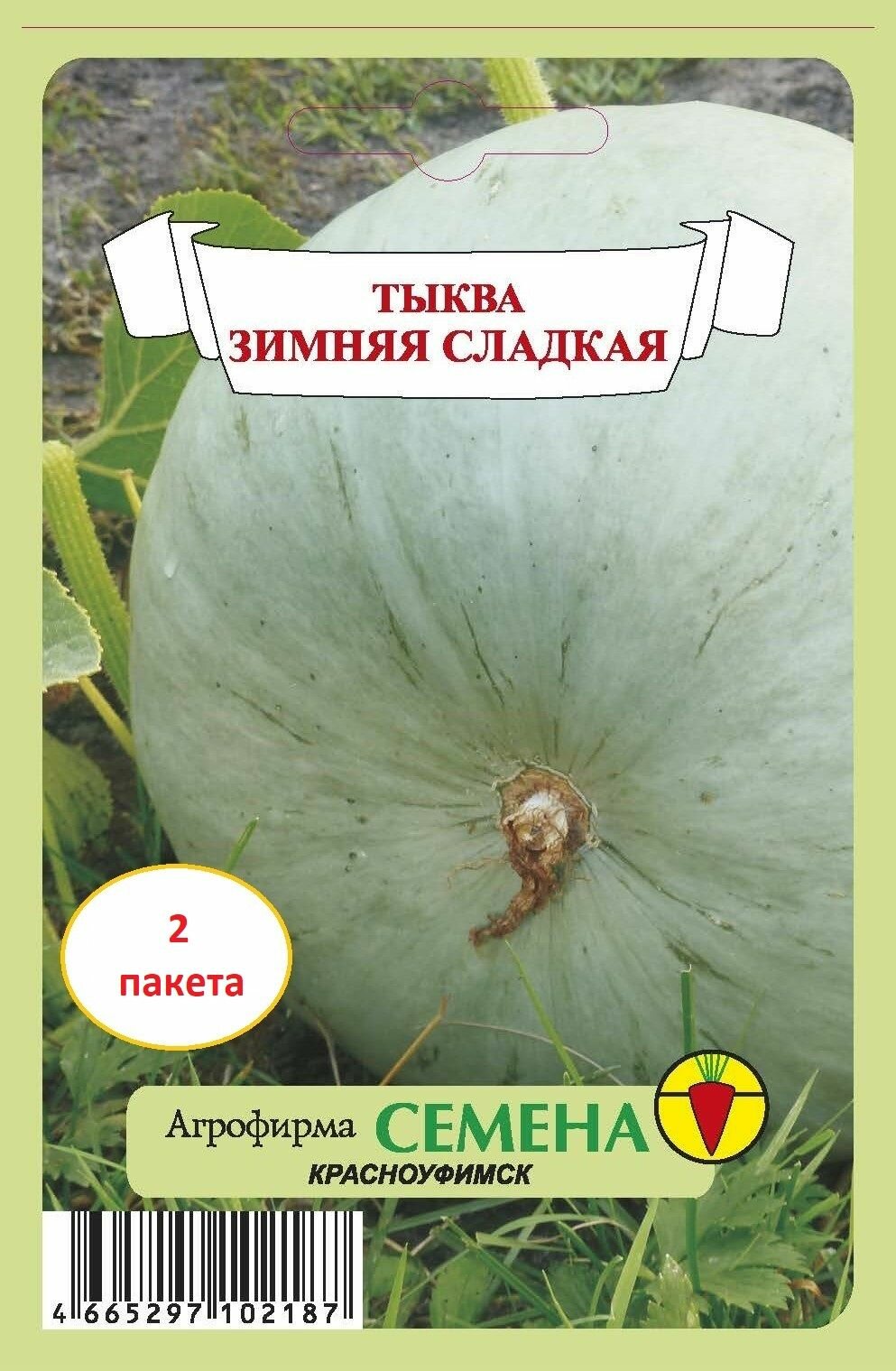 Семена тыква зимняя сладкая 10 семян / 2 пакета, сорт позднеспелый, вкусная, полезная, для длительного хранения, без нитратов, для здорового питания семена тыквы позднеспелая тыква тыква для хранения