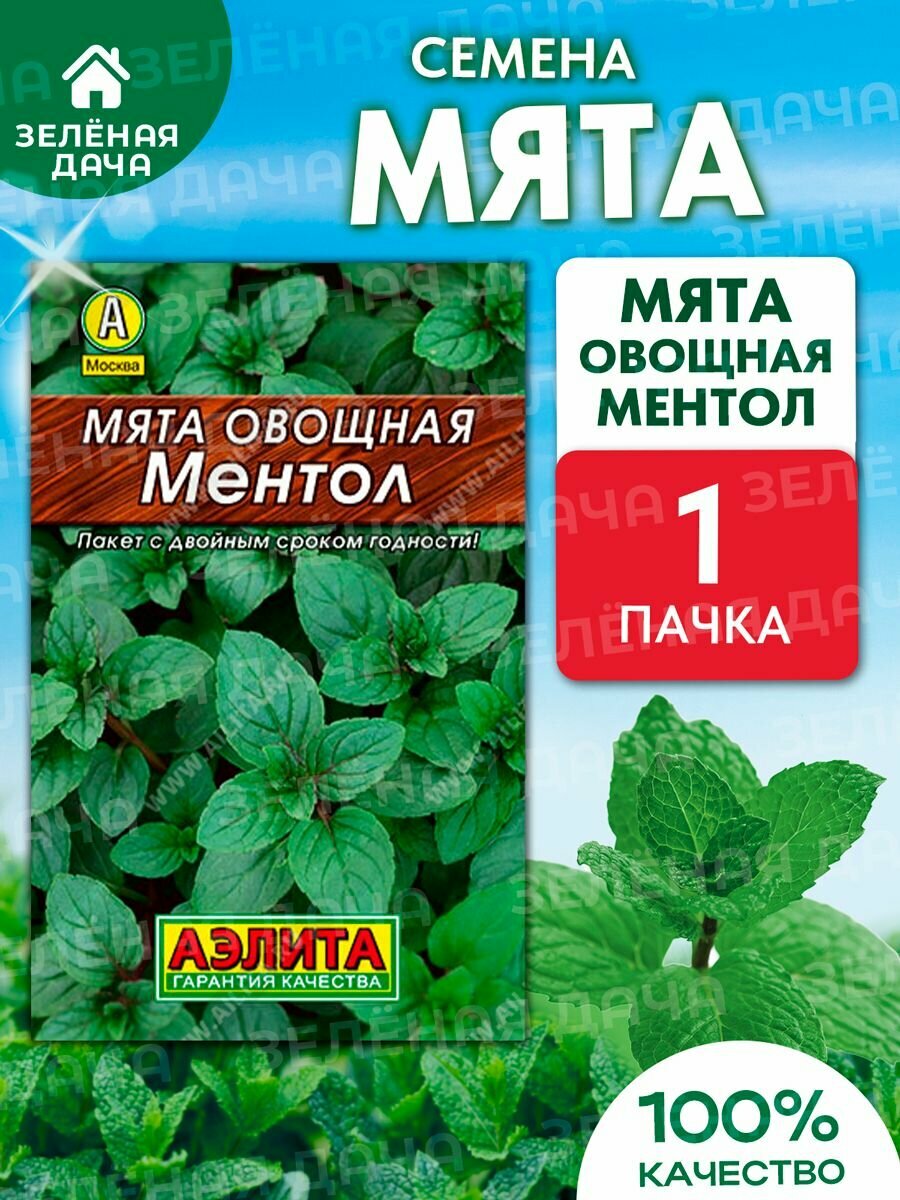 Семена Мята Ментол мята семена мяты