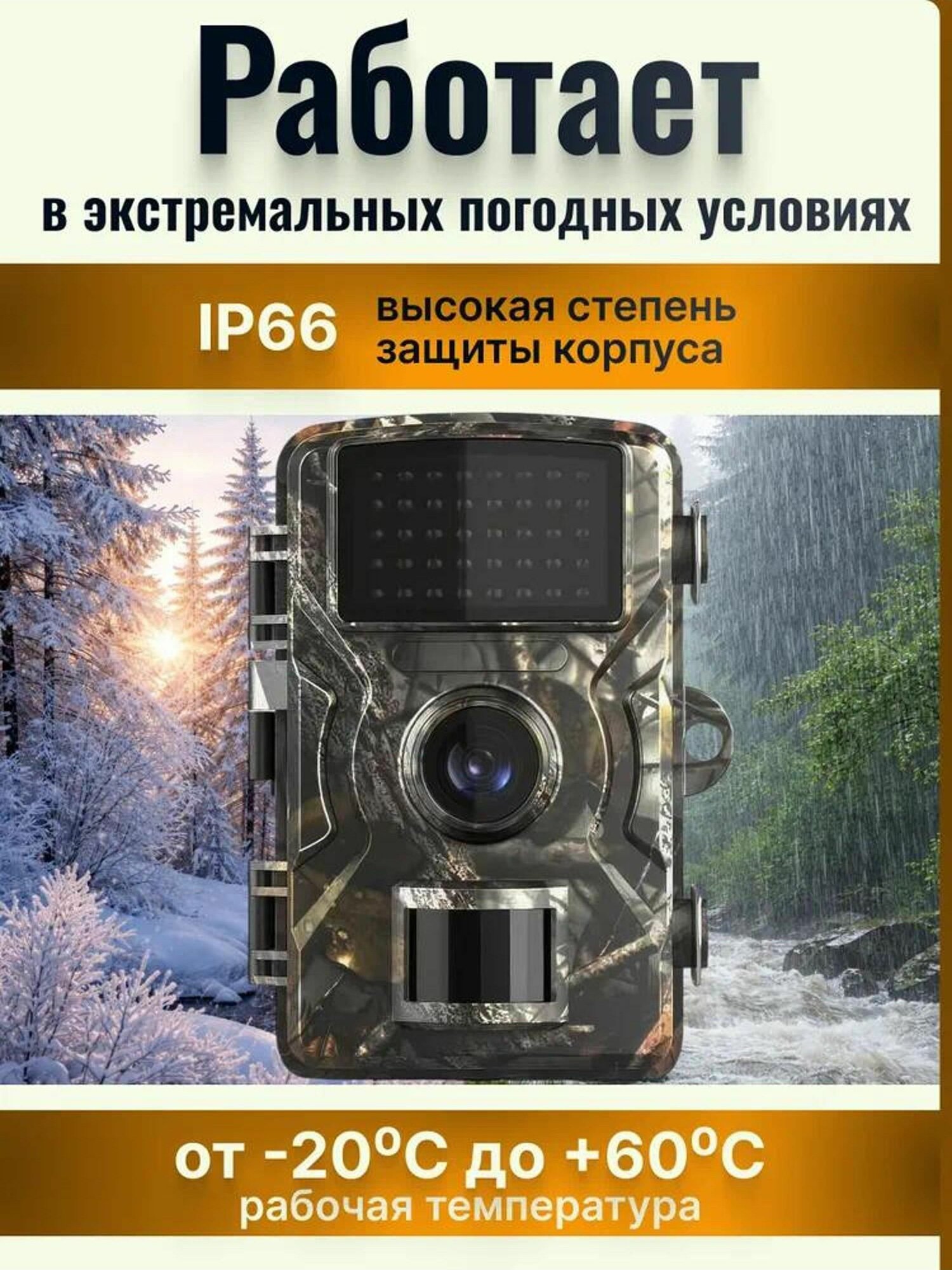 Фотоловушка — фото 1
