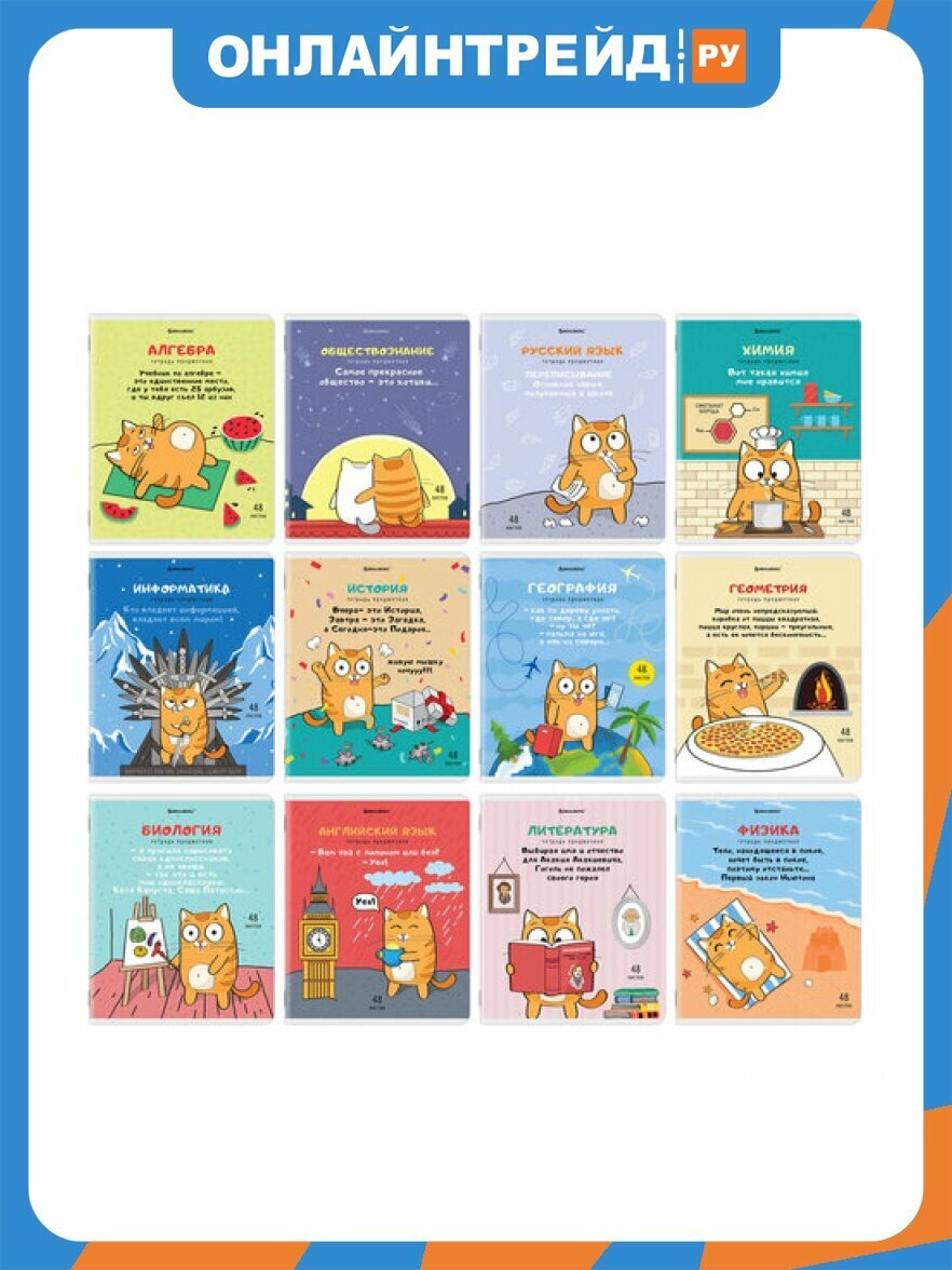 Тетради предметные Brauberg комплект 12 предметов, "кот-энтузиаст", 48 л, TWIN-лак, , 404609