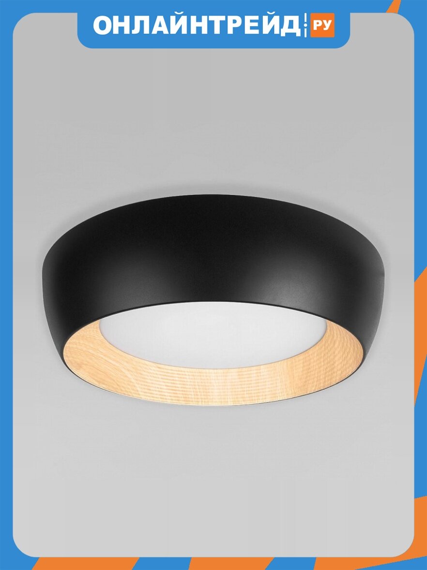 Потолочный светильник Loft IT Folk 10255/500 Black
