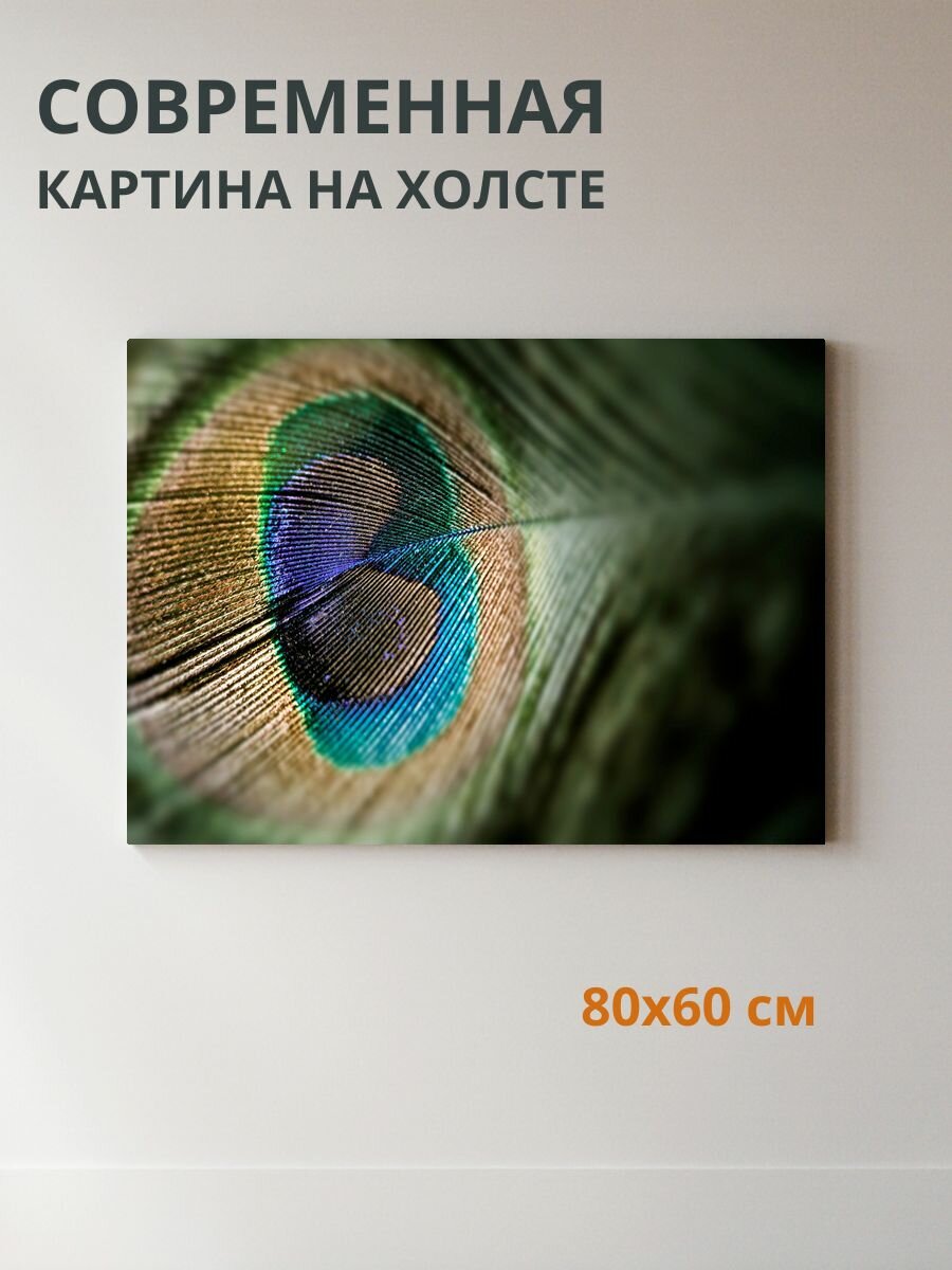 Картина на холсте Перо павлина 80x60 см