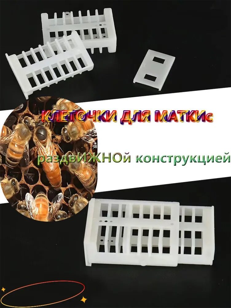 Клетка для матки — фото 1