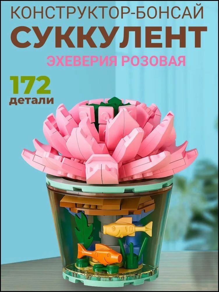 Конструктор цветы , Суккулент "Эхеверия розовая"