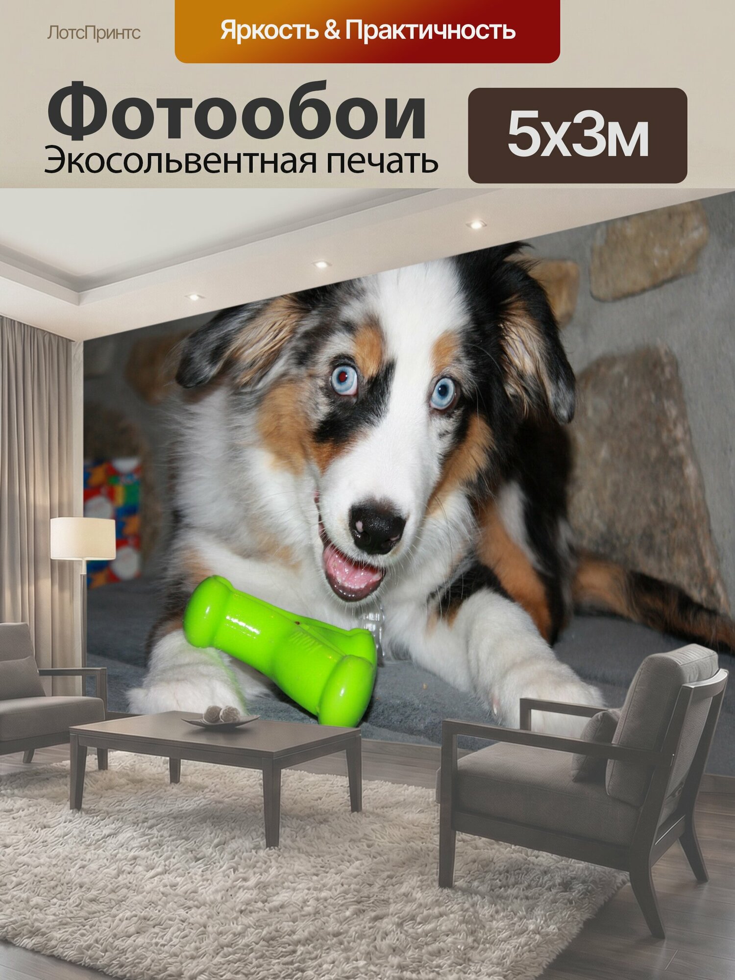 Фотообои "Собака, щенок, домашнее животное" 500x300 см. экосольвентная печать