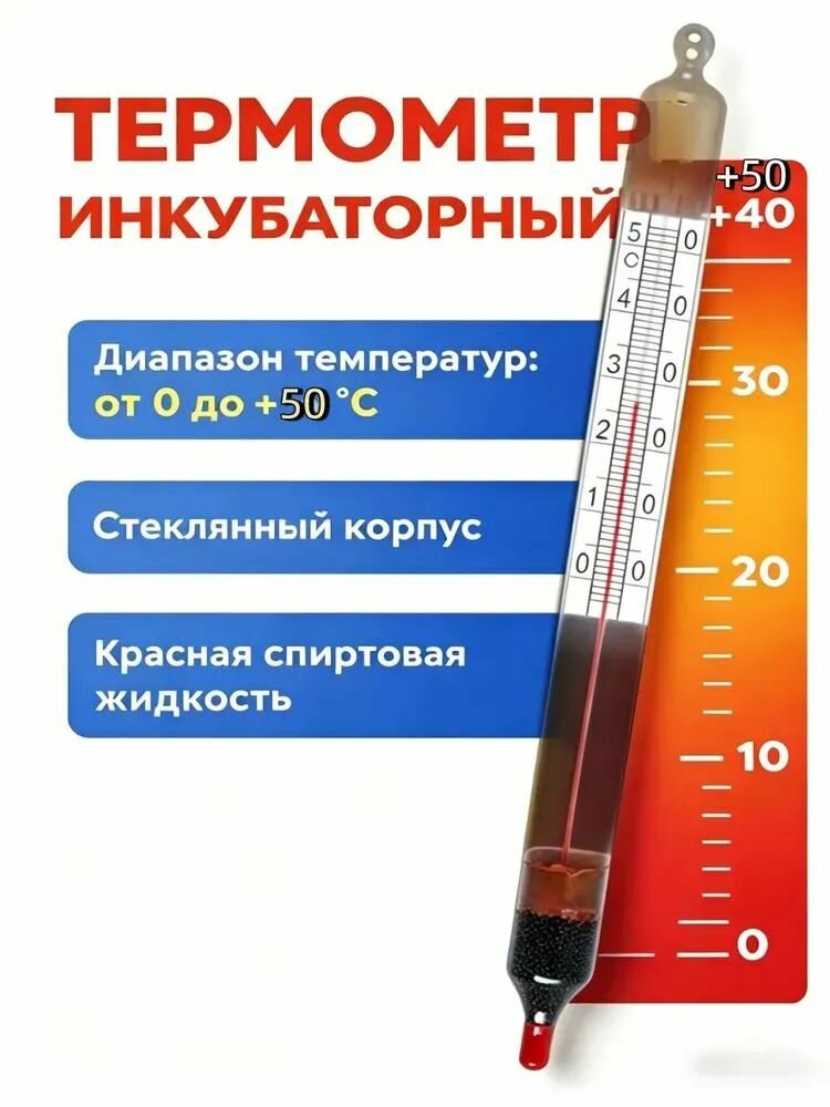 Термометр спиртовой для инкубатора