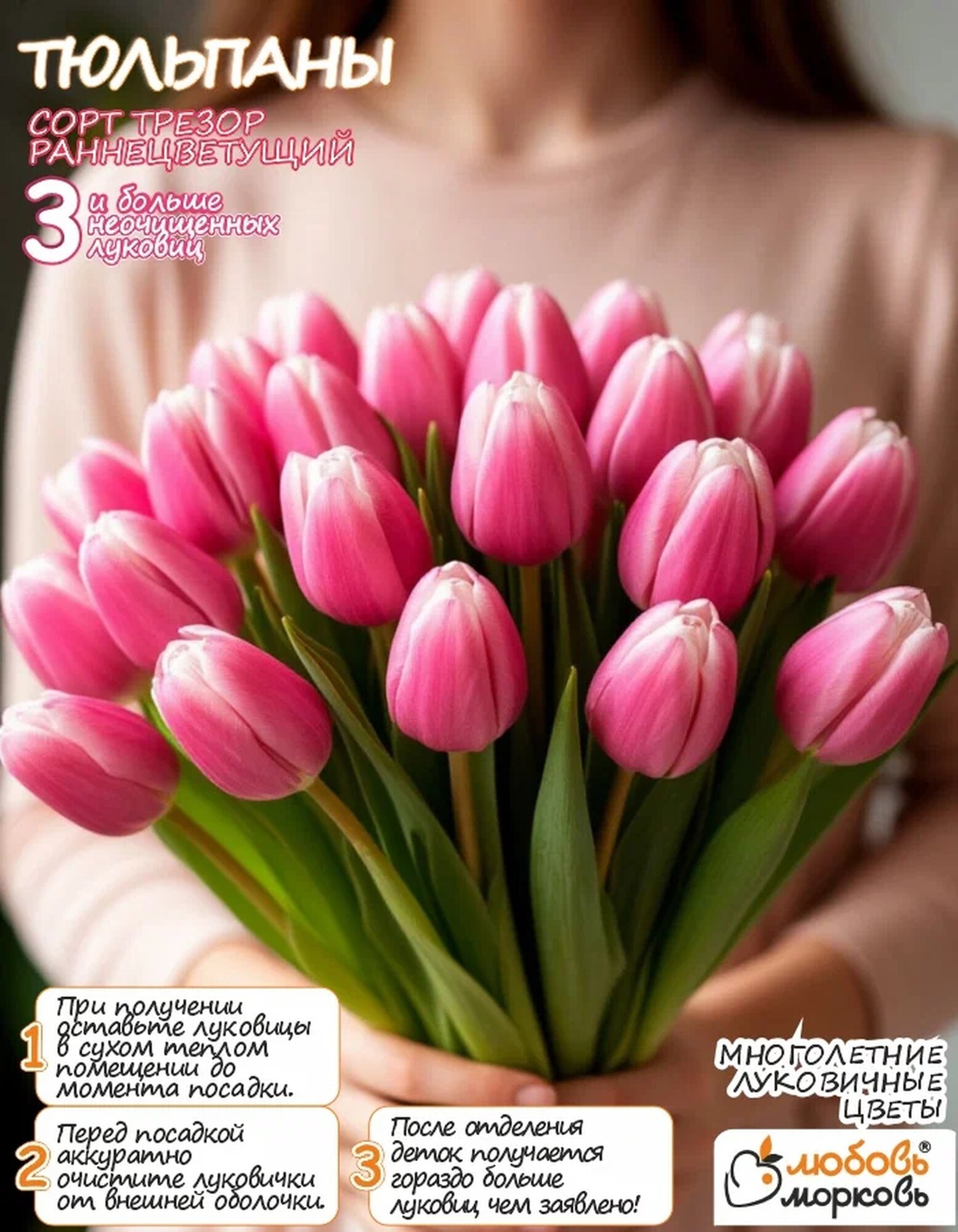 Тюльпан, Трезор 10 луковиц