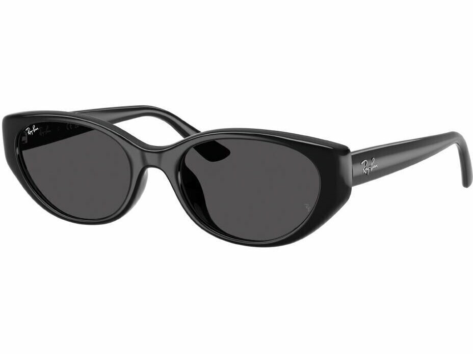 Ray-Ban 0RB4457D / 55 667787