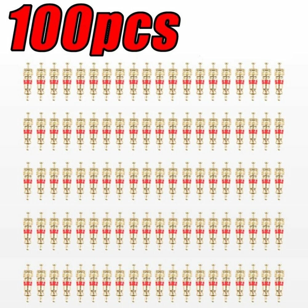 100 шт. Шины Клапан Ядро