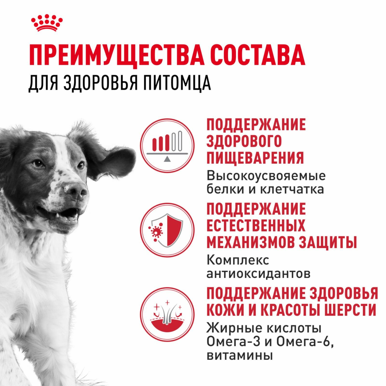 Royal Canin Влажный корм для собак средних пород Medium Adult, кусочки в соусе, паучи 100г — фото 1