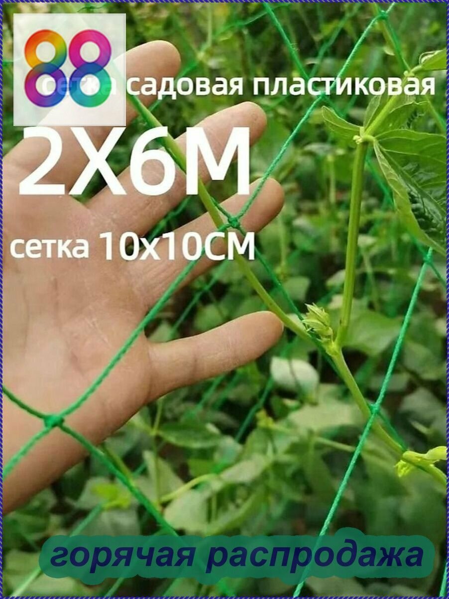 Сетка садовая, Пластик,6х2м
