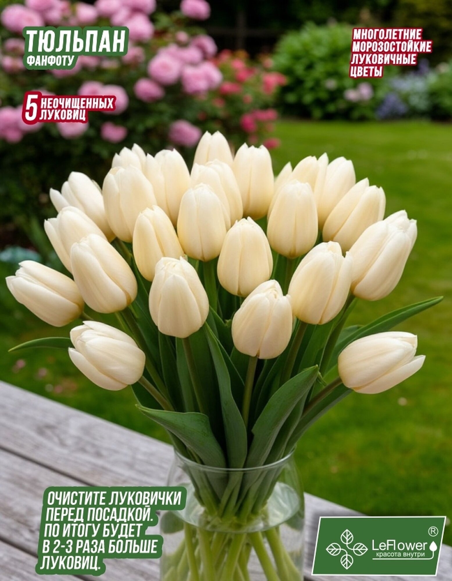 Тюльпан LeFlower Fan For Two, многолетник, высота 45см, желтый, 5шт