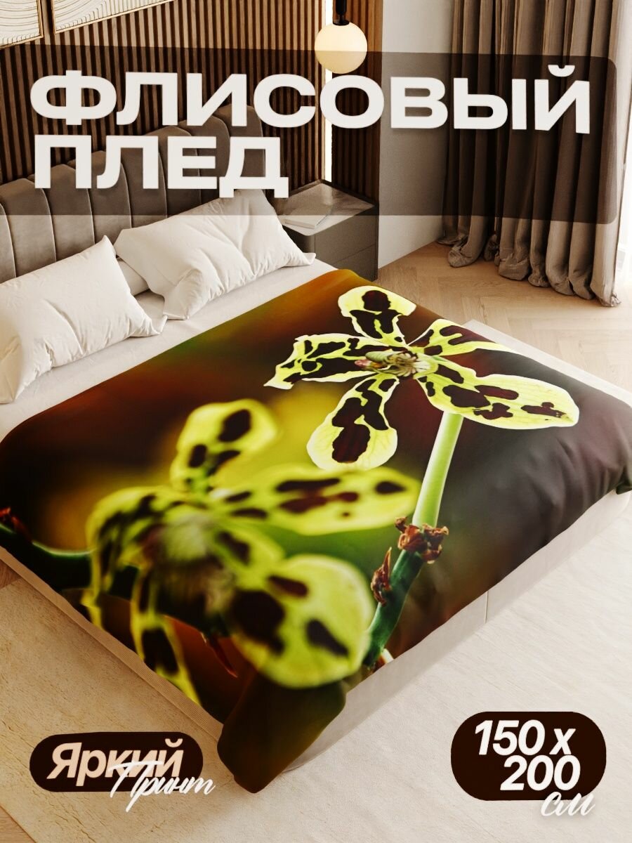 Плед флисовый 150х200 см мягкий теплый покрывало для дома