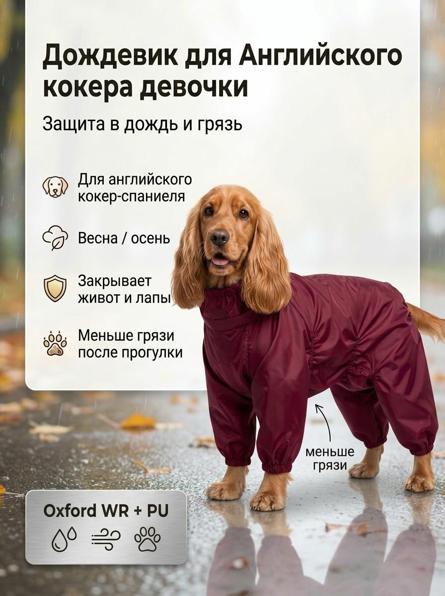 Комбинезон-дождевик для английского кокер-спаниеля суки, повышенной прочности, цвет бордо