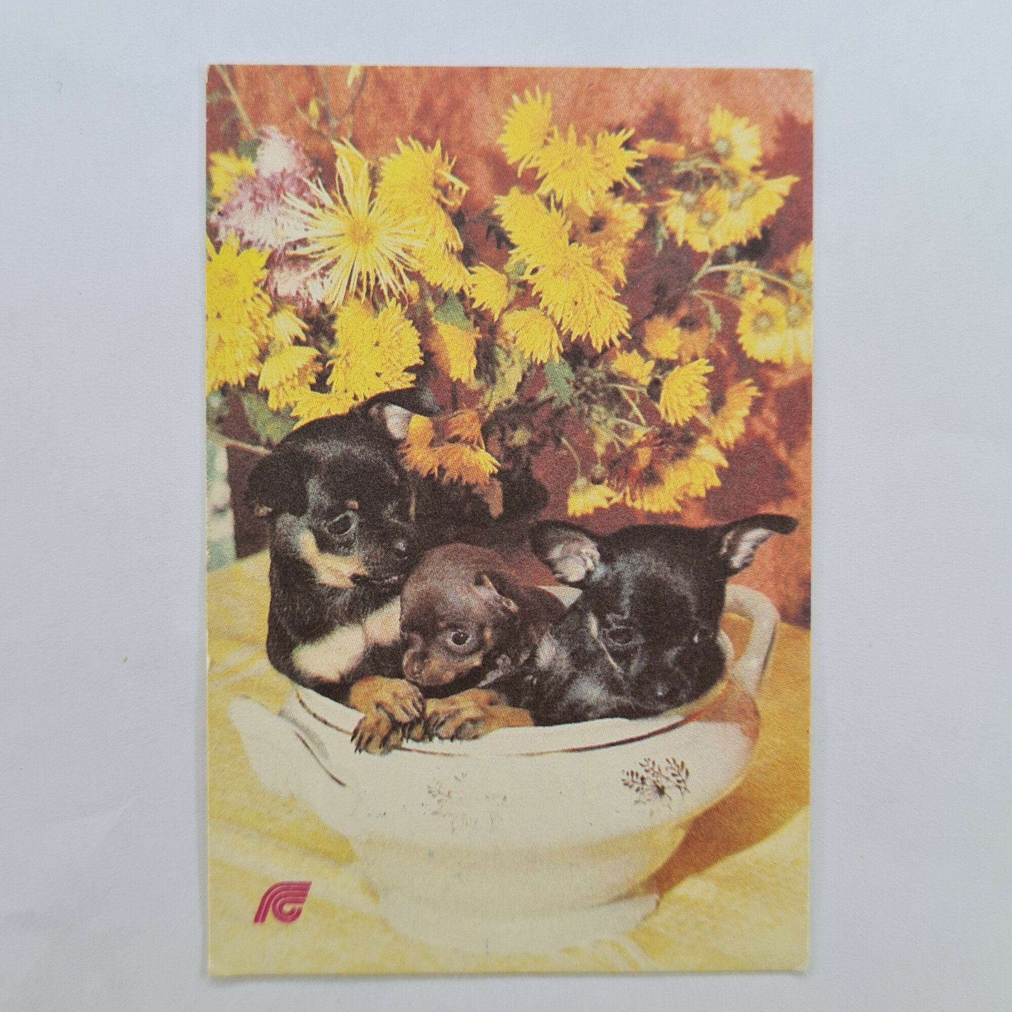 Карманный календарик СССР 1991. Страхование собак, щенки и цветы. Советский календарь