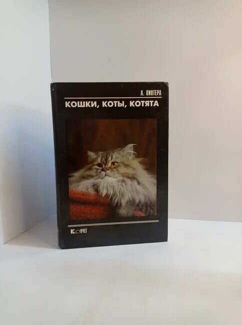 Кошки, коты, котята