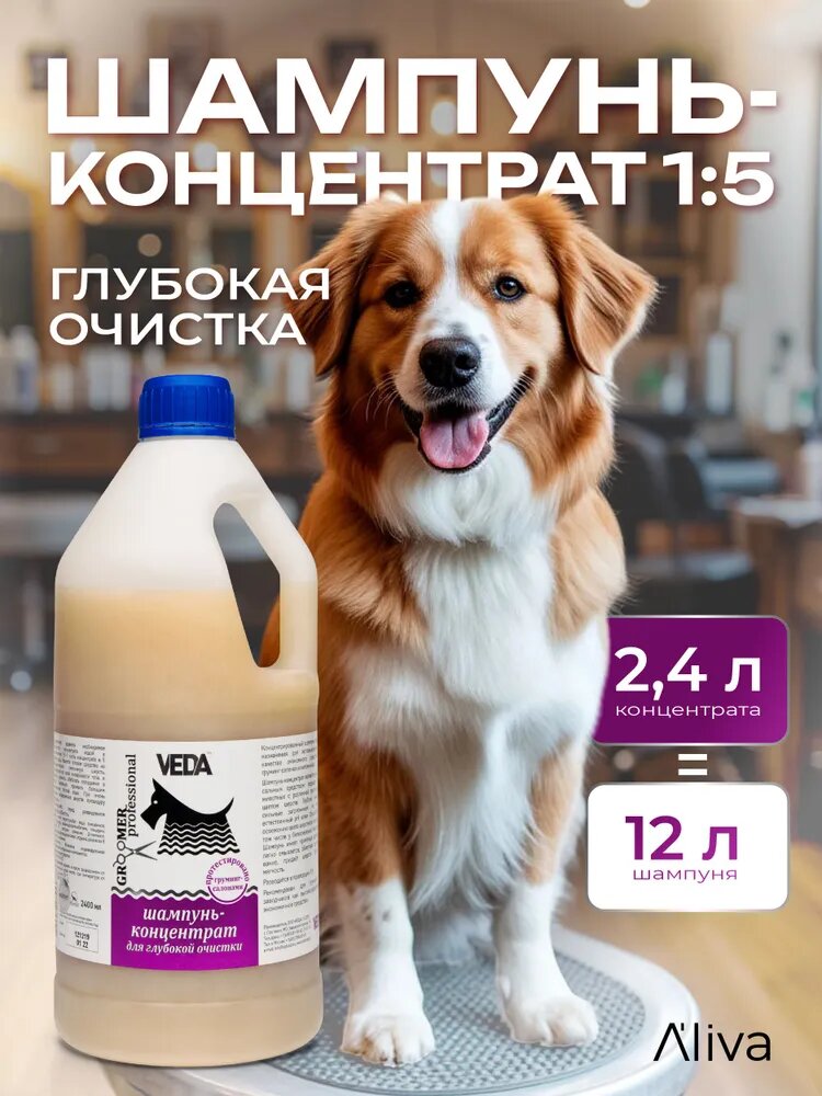 Шампунь для собак и кошек, концентрированный (1:5) для глубокой очистки, GROOMER PROFESSIONAL, VEDA, 2400 мл