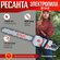 Электропила ЭП-2418 Ресанта