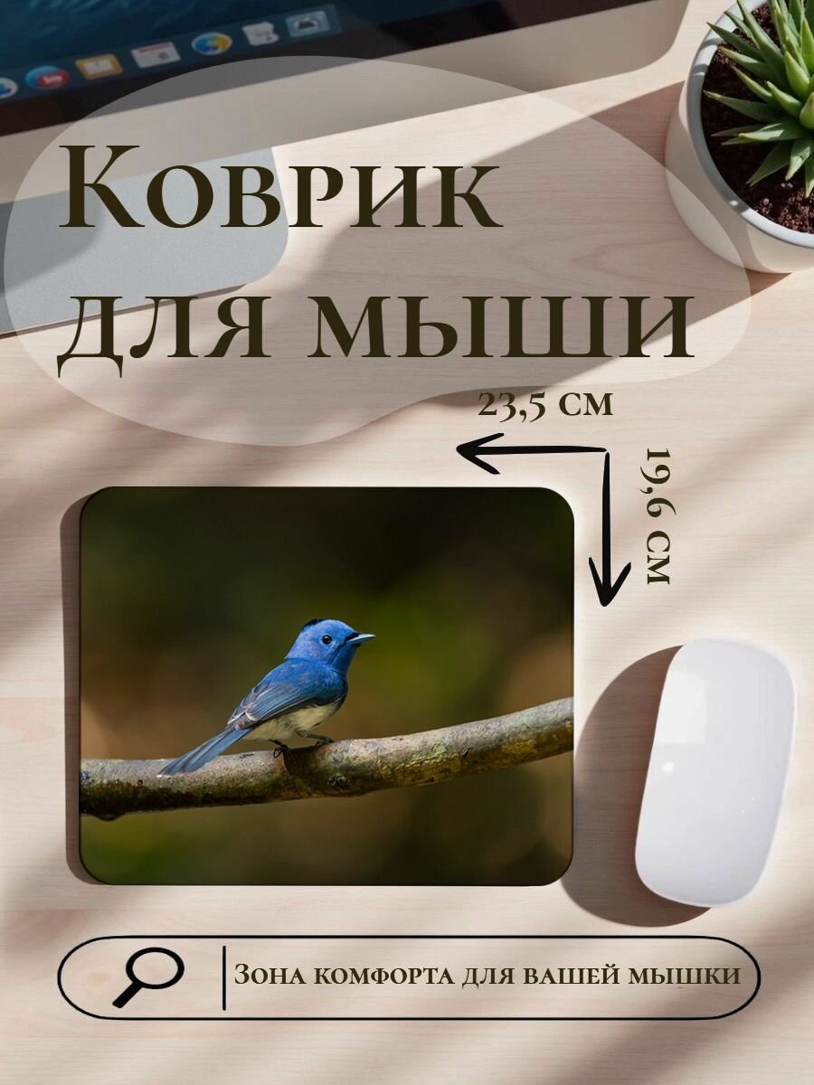 Коврик для мыши сибирская синяя малиновка