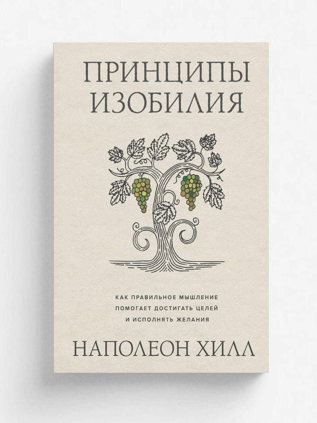 Принципы изобилия. Как правильное мышление помогает достигать целей и исполнять желания