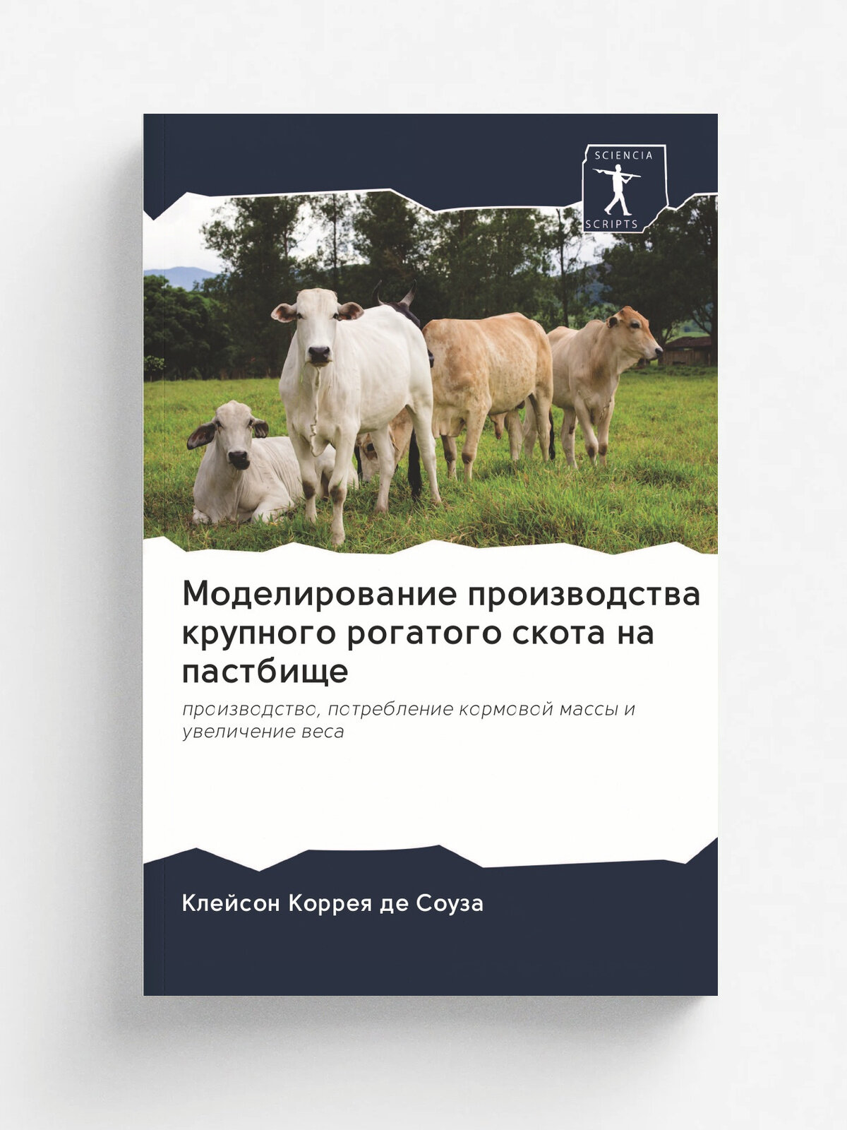 Моделирование производства крупного рогатого скота на пастбище