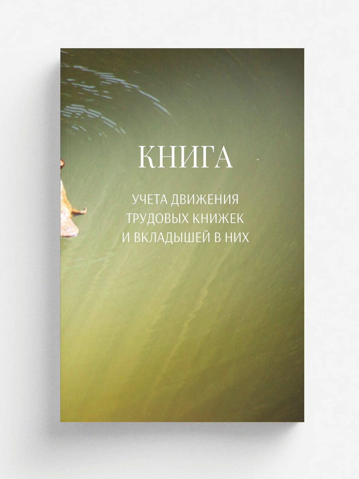 Книга учета трудовых книжек и вкладыщей к ним