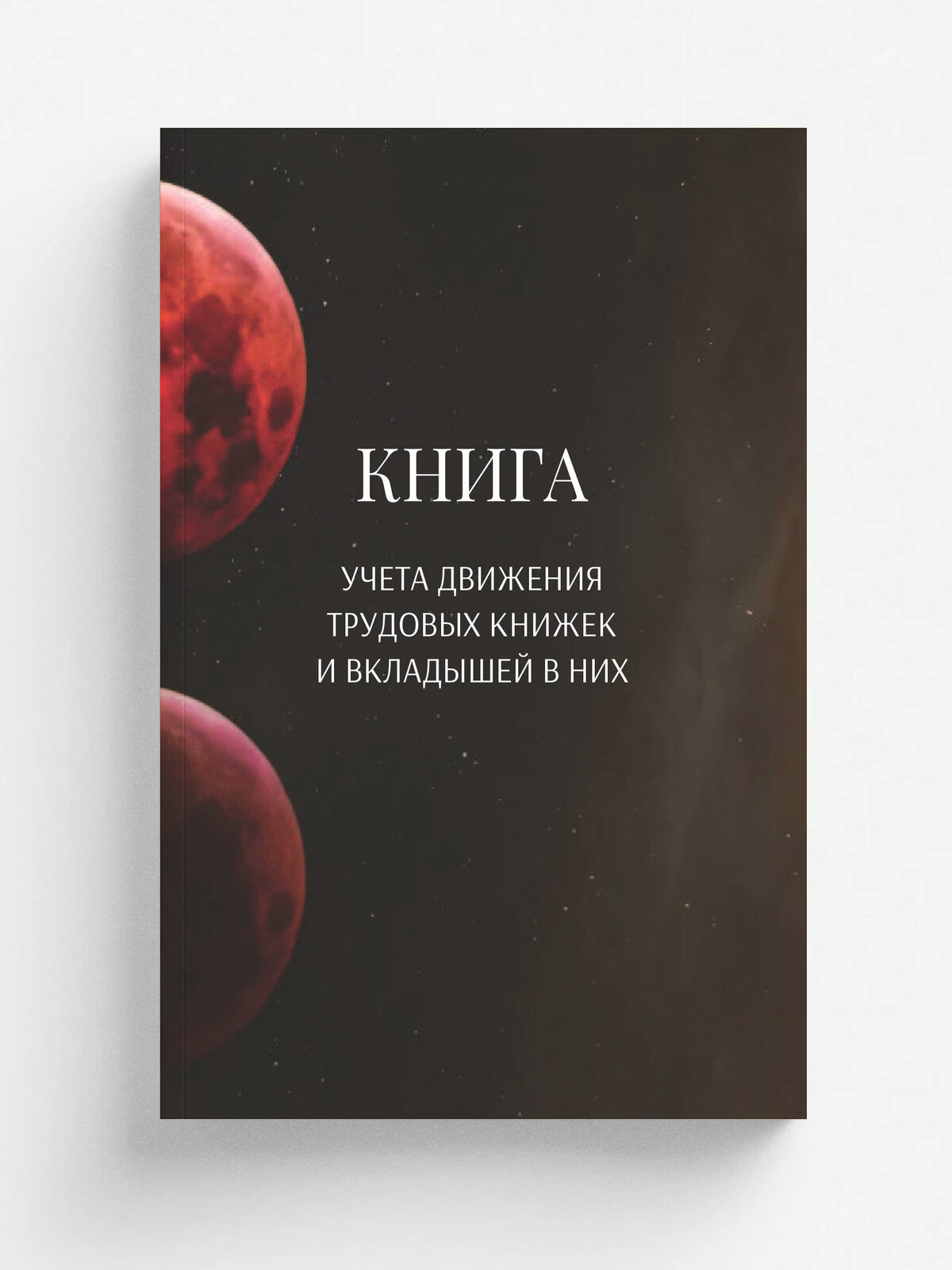 Книга учета трудовых книжек и вкладыщей к ним