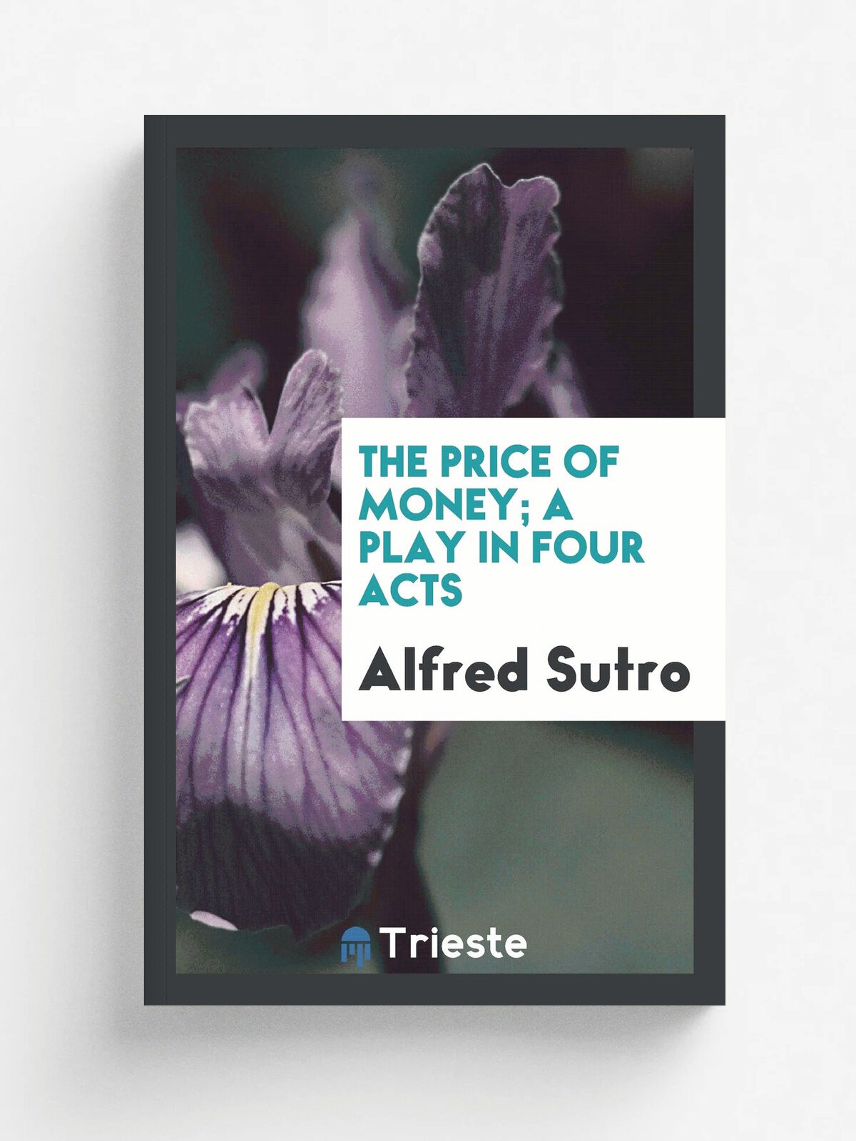 The price of money; a play in four acts