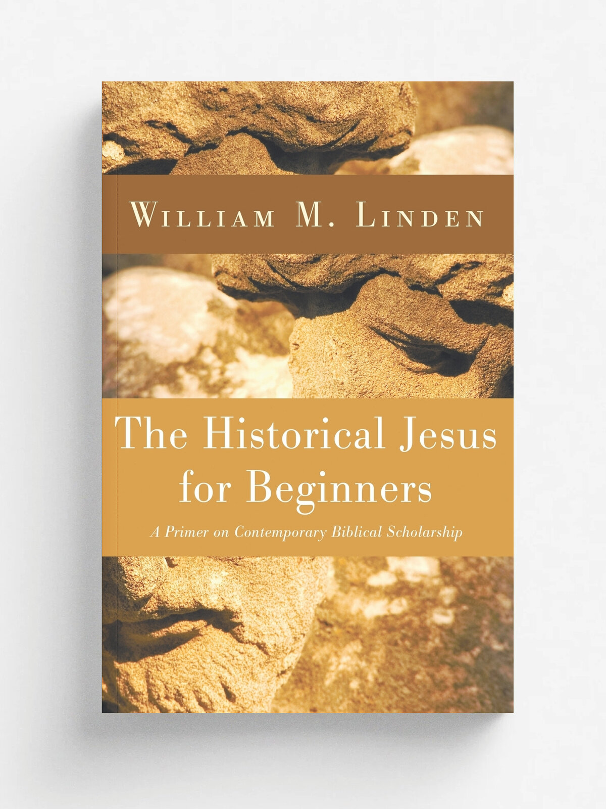 The Historical Jesus for Beginners