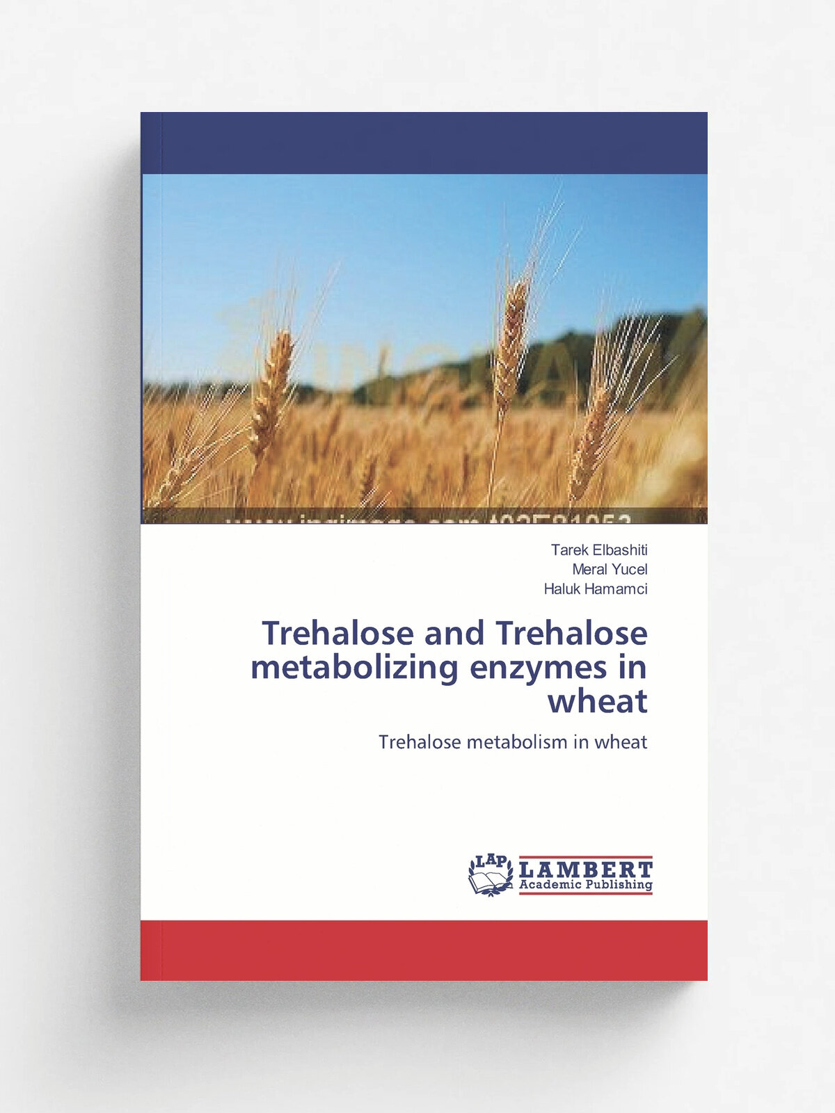 Trehalose and Trehalose metabolizing enzymes in wheat