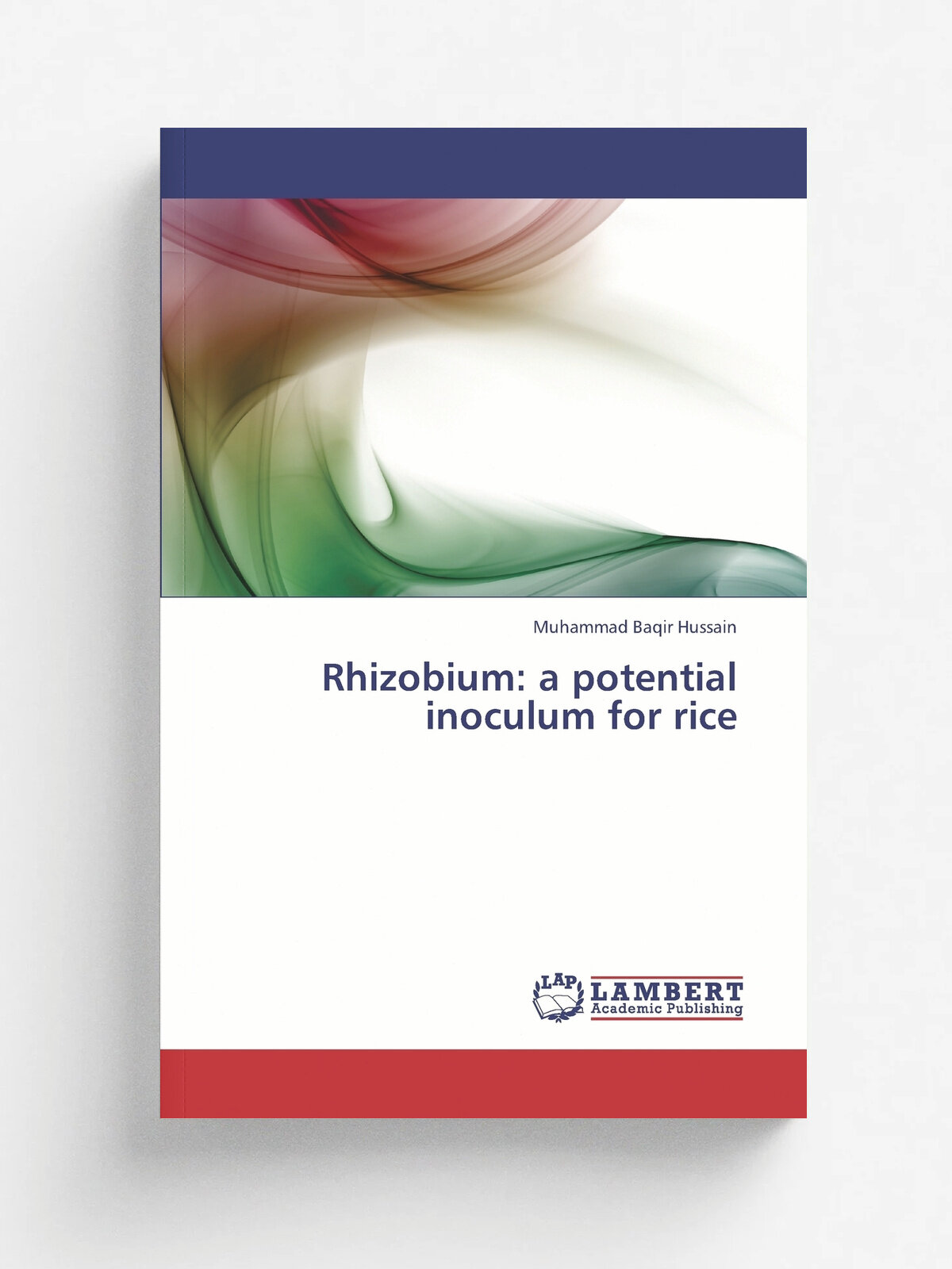Rhizobium. A Potential Inoculum for Rice