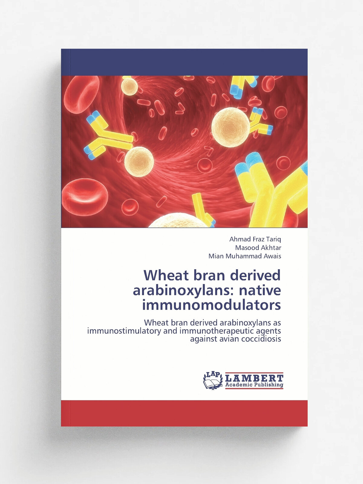 Wheat Bran Derived Arabinoxylans. Native Immunomodulators
