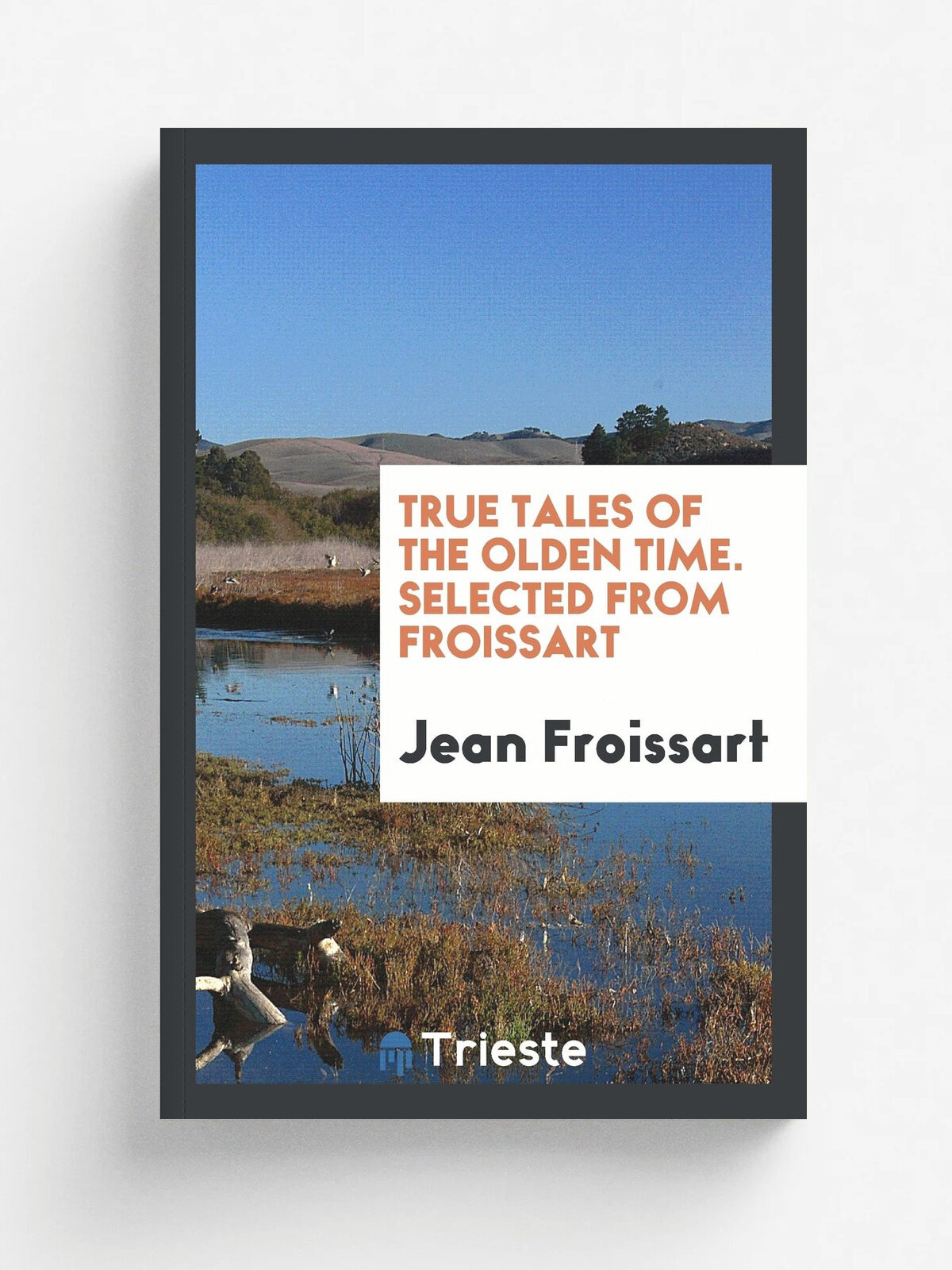 True Tales of the Olden Time. Selected from Froissart