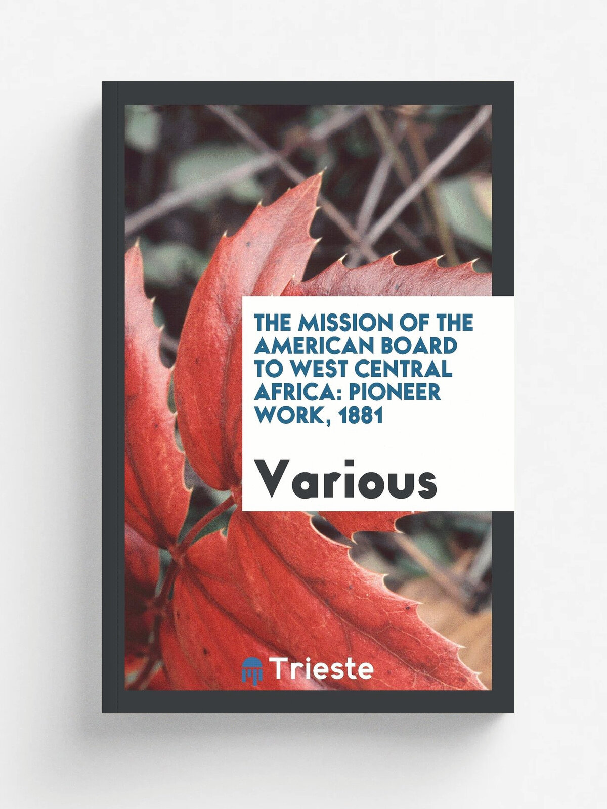 The Mission of the American Board to West Central Africa. Pioneer Work, 1881