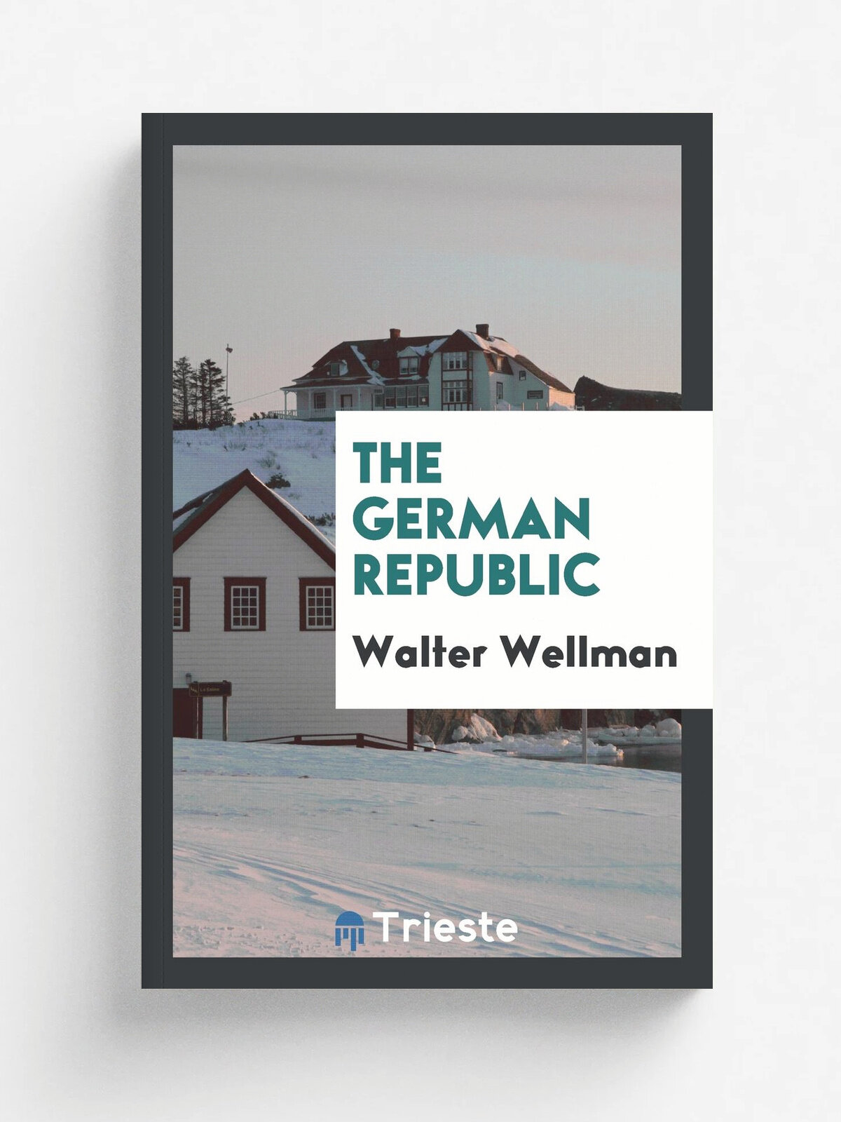 The German republic