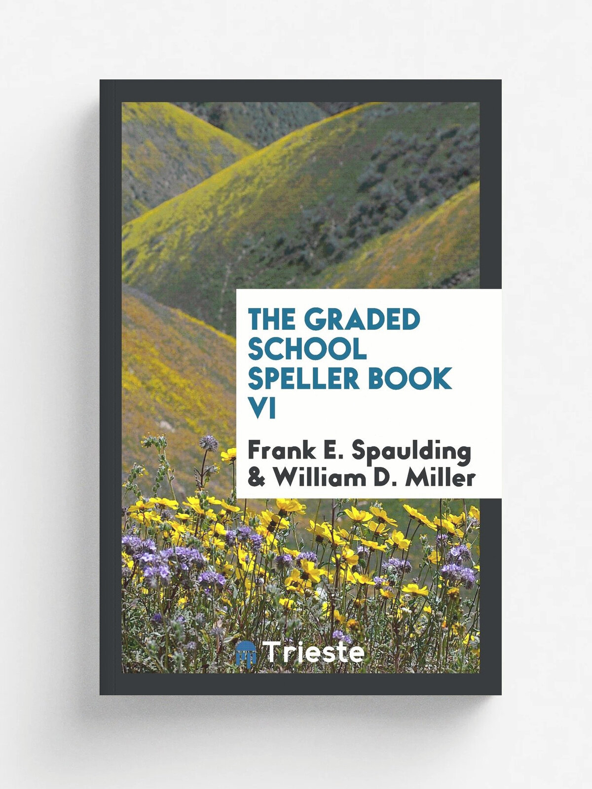 The Graded School Speller Book VI