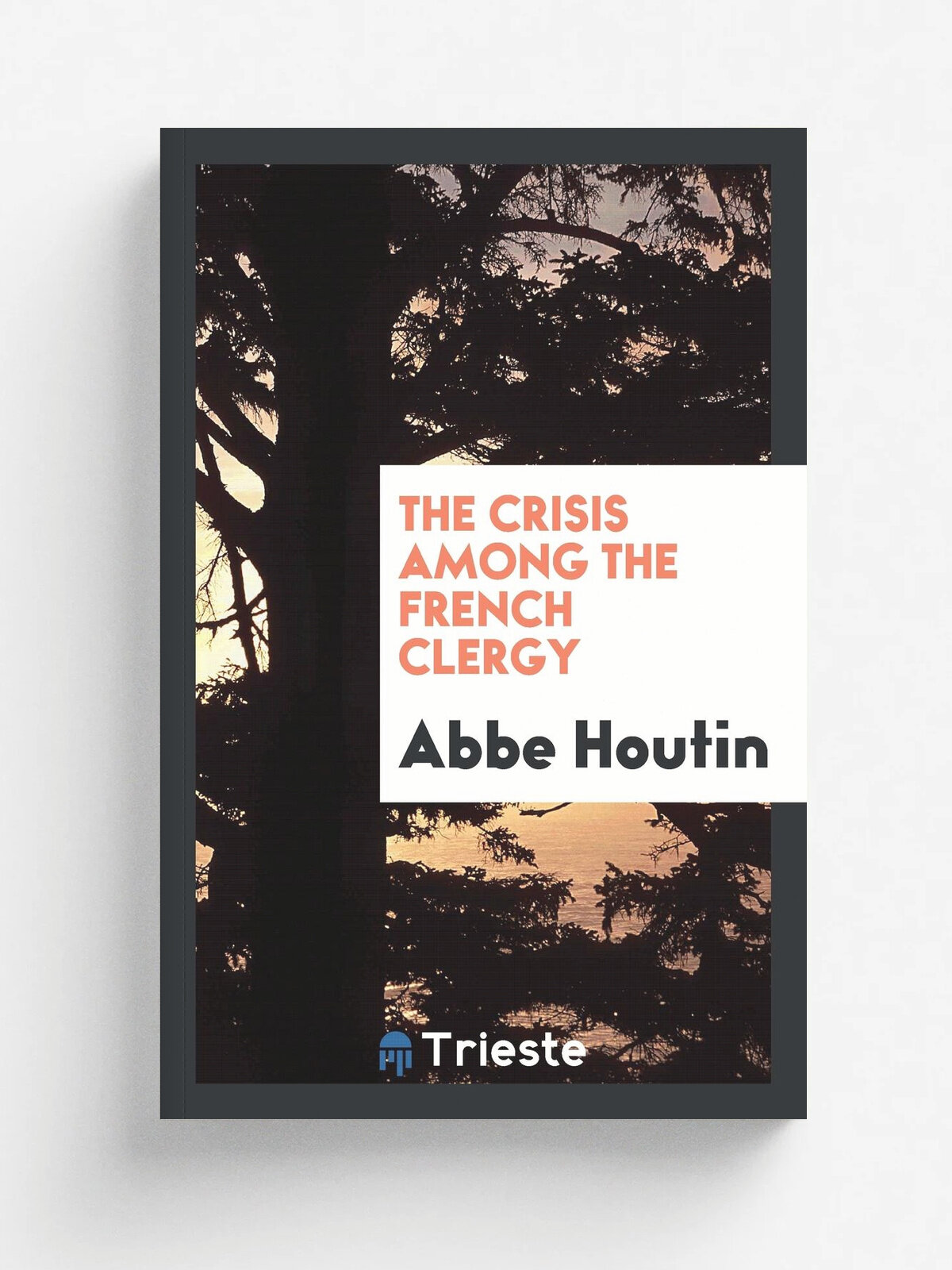 The crisis among the French clergy