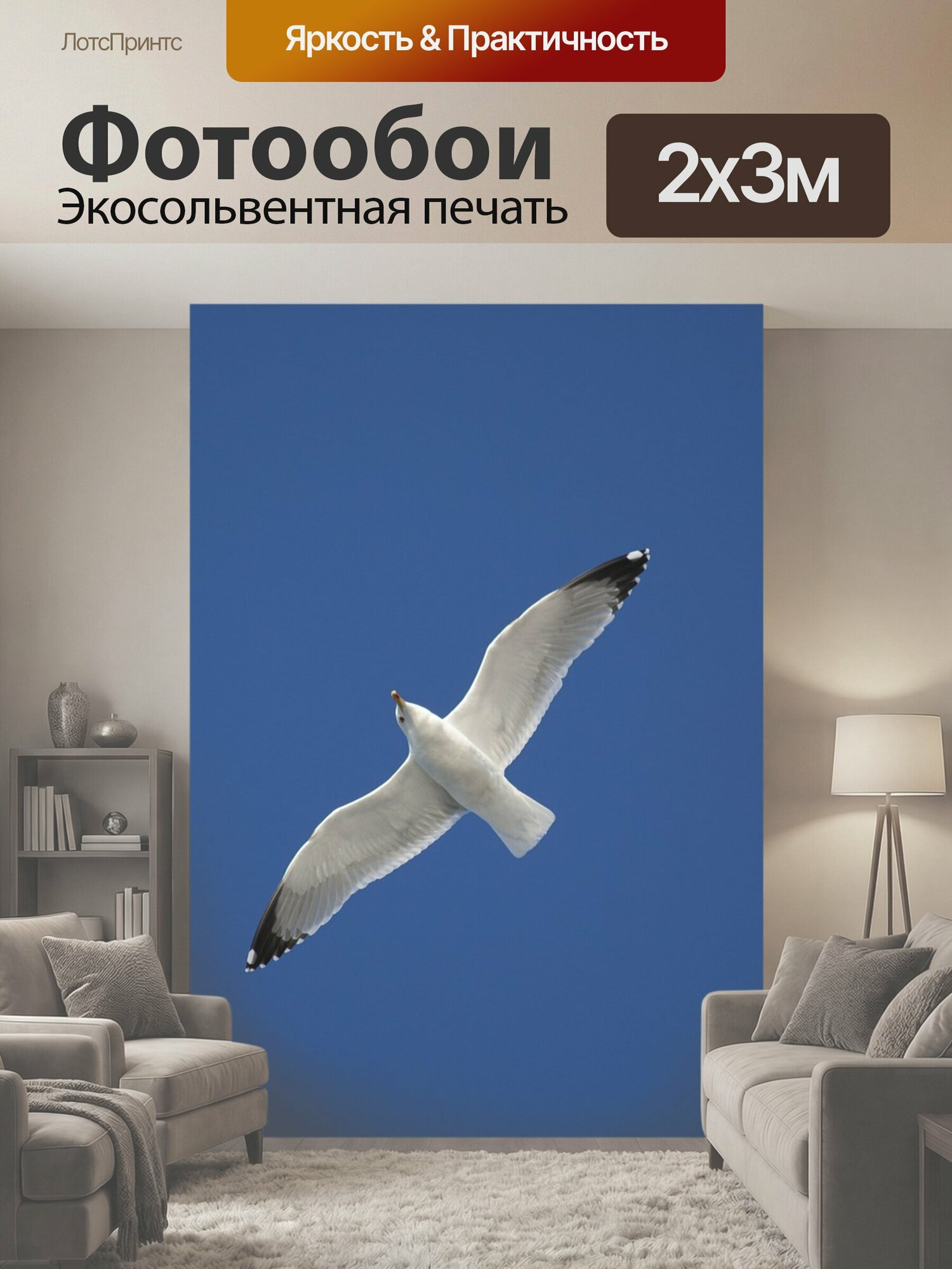 Фотообои "Чайка, aridae, зуек как" 200x300 см. экосольвентная печать