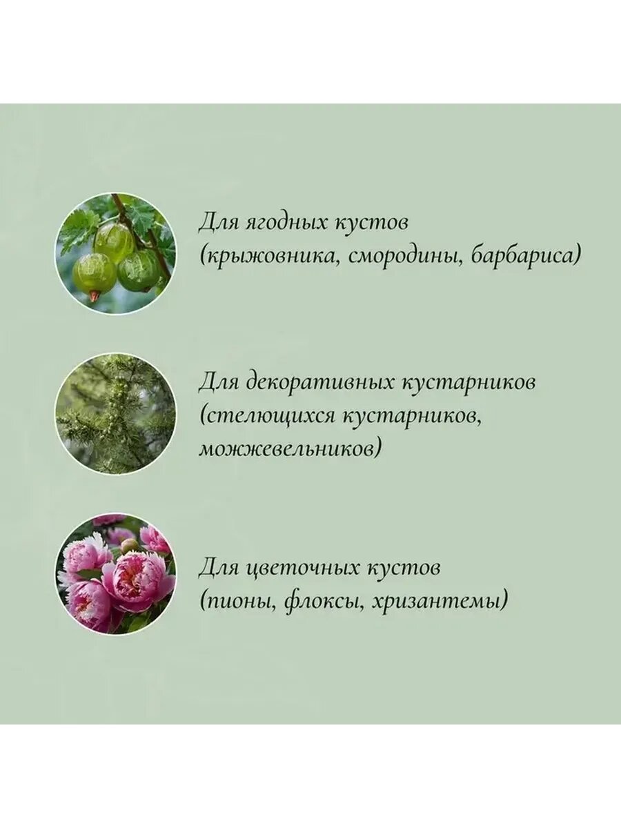 Элегантные металлические стойки для кустов
