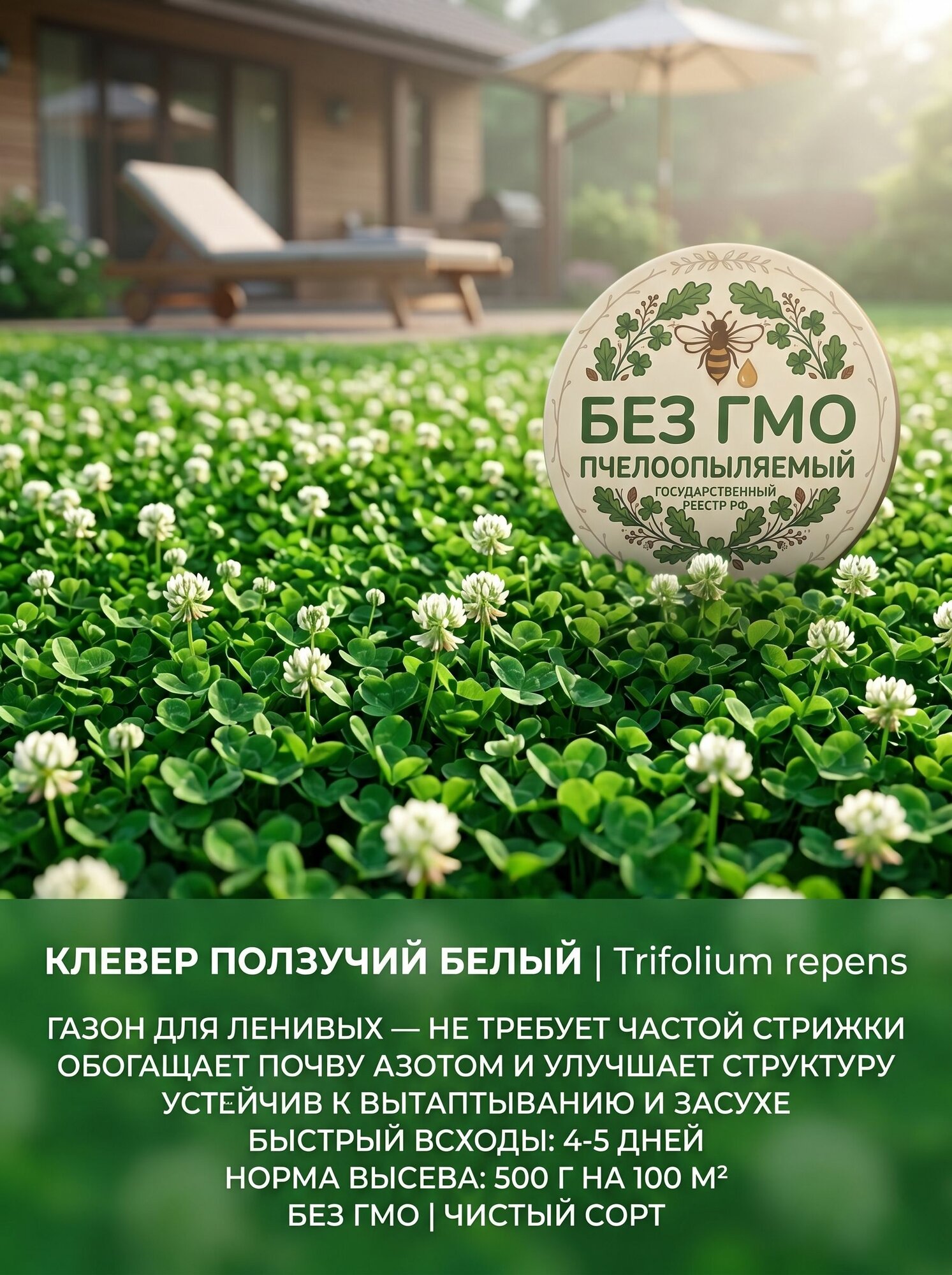 Семена Клевер ползучий белый (газон/сидерат) Trifolium repens Газон для ленивых Обогащает азотом без ГМО 50 г.