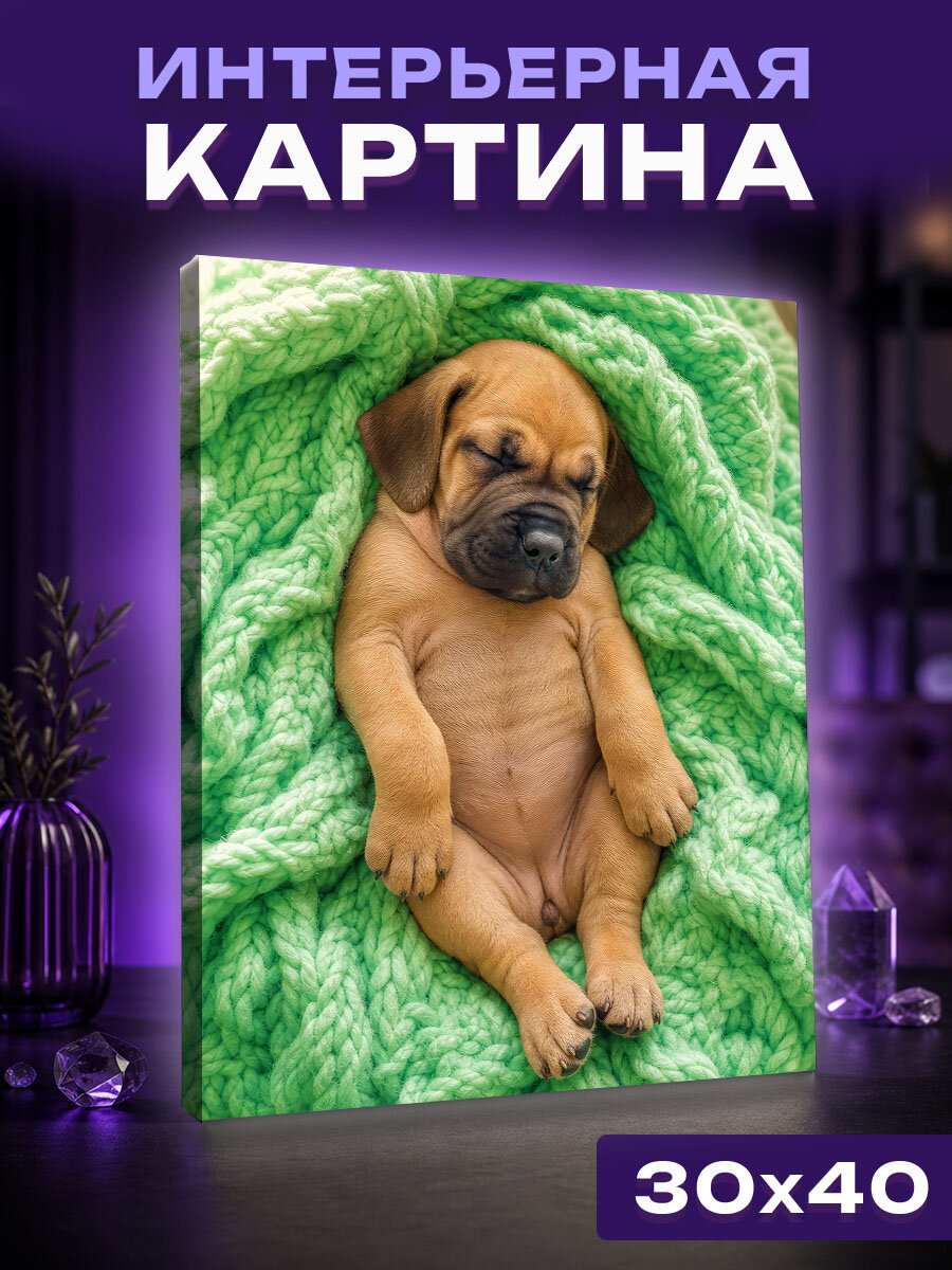 Интерьерная картина Сон мятного щенка