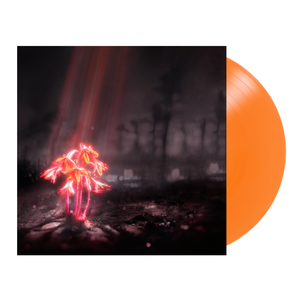 Виниловая пластинка Enter Shikari - A Kiss For The Whole World (Orange Edge Glow)