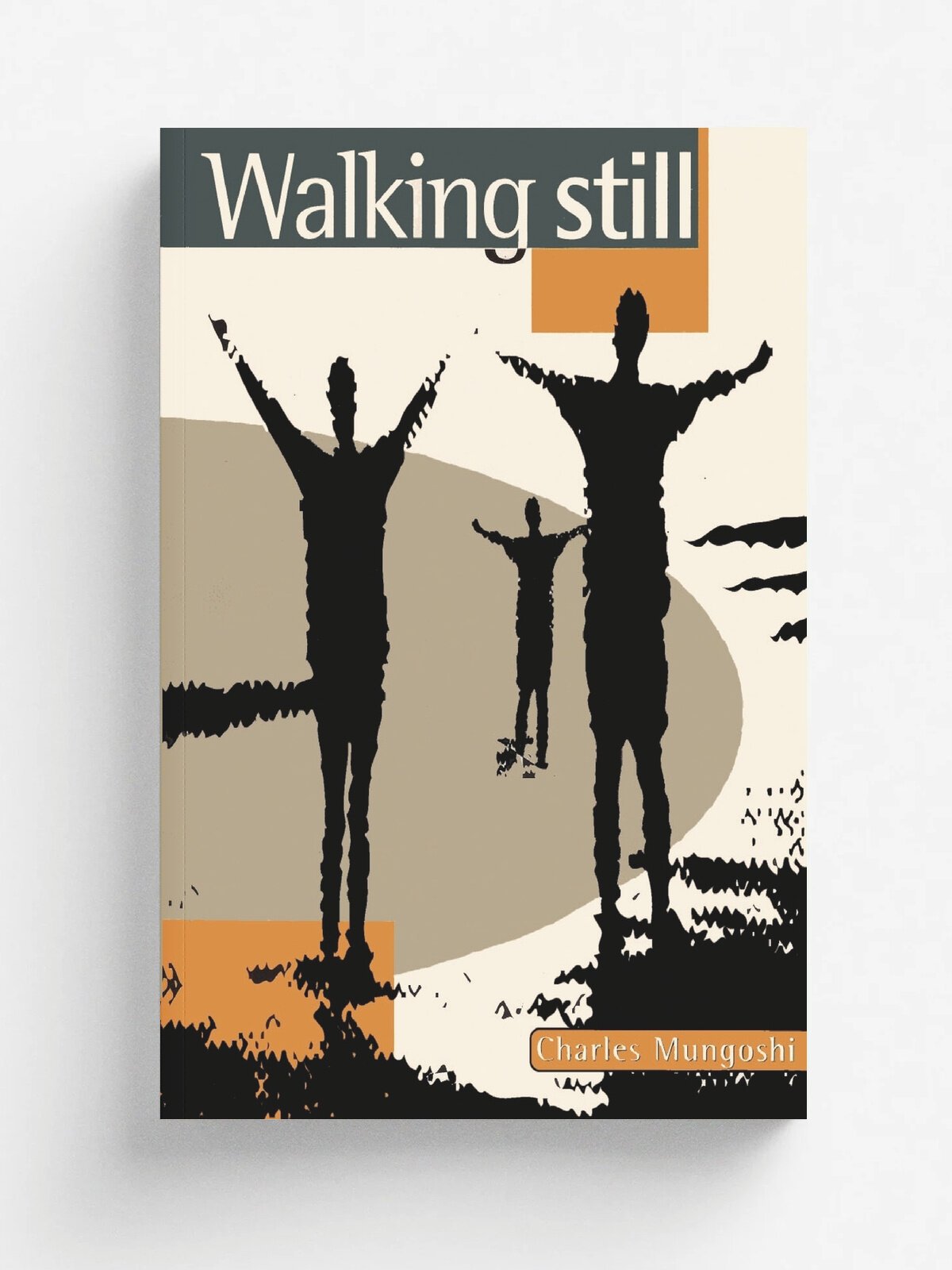 Walking Still