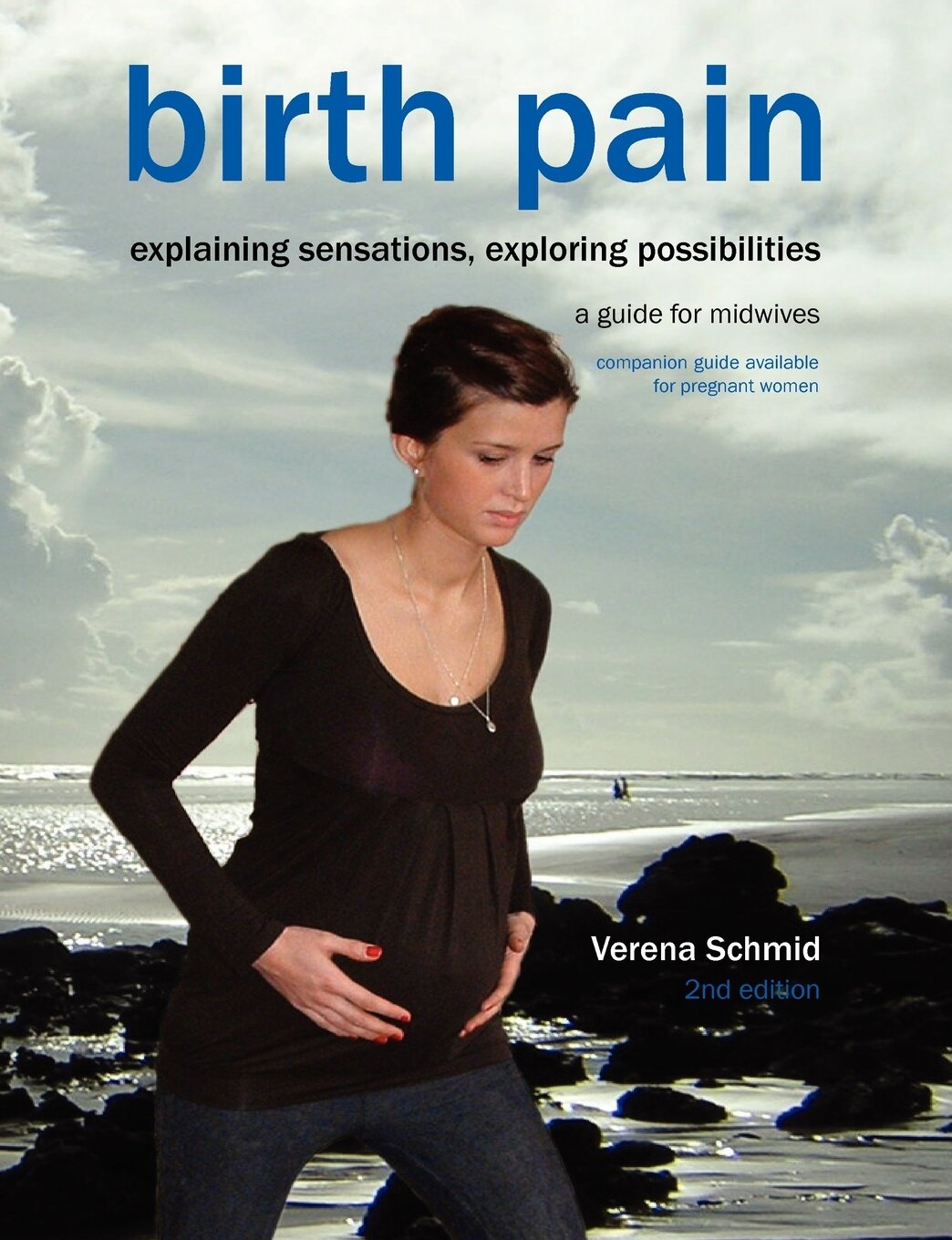 Birth Pain. Explaining Sensations, Exploring Possibilities (2nd Ed) — фото 1