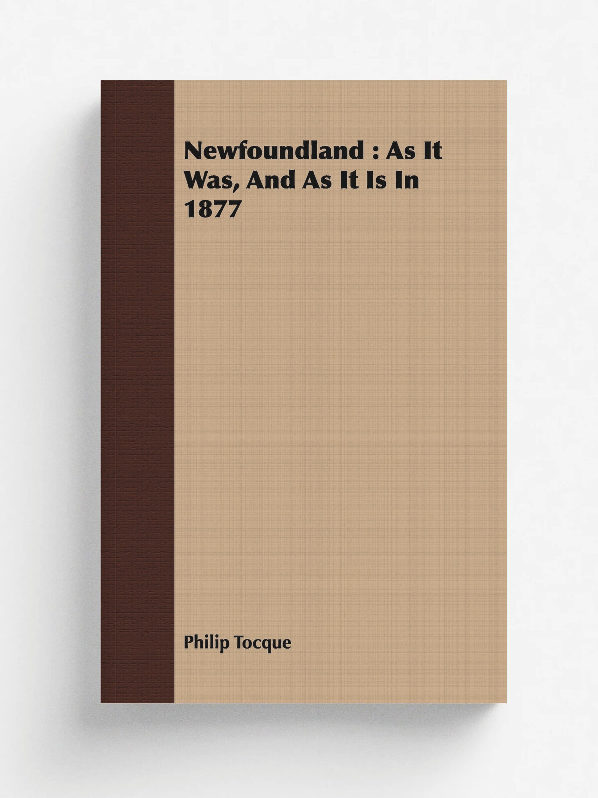 Newfoundland. As It Was, And As It Is In 1877