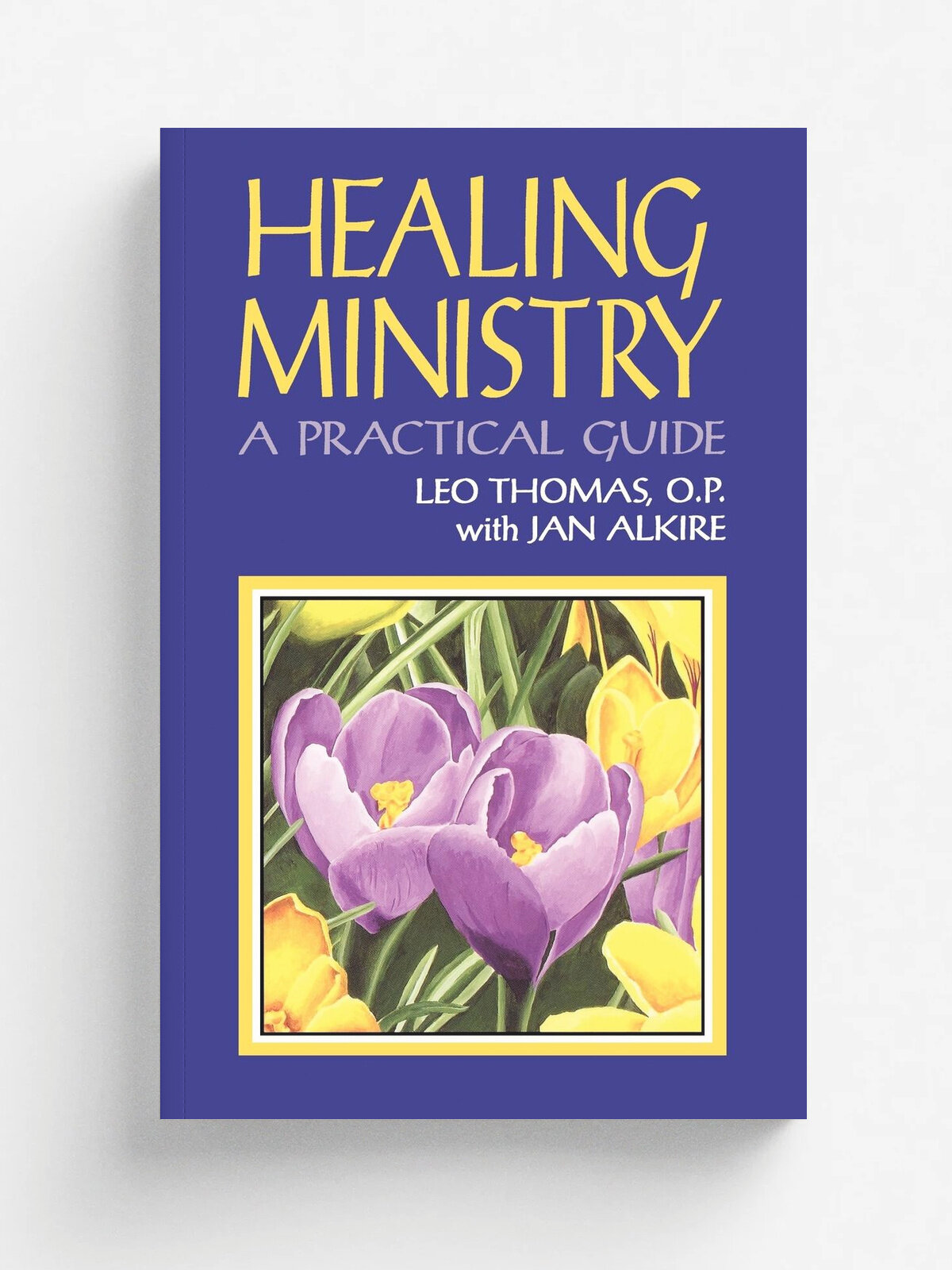 Healing Ministry. A Practical Guide - Rowman & Littlefield