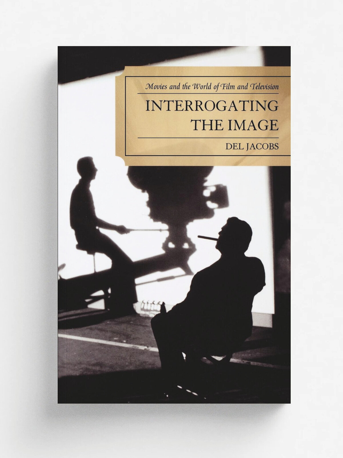 Interrogating the Image. Movies and the World of Film and Television