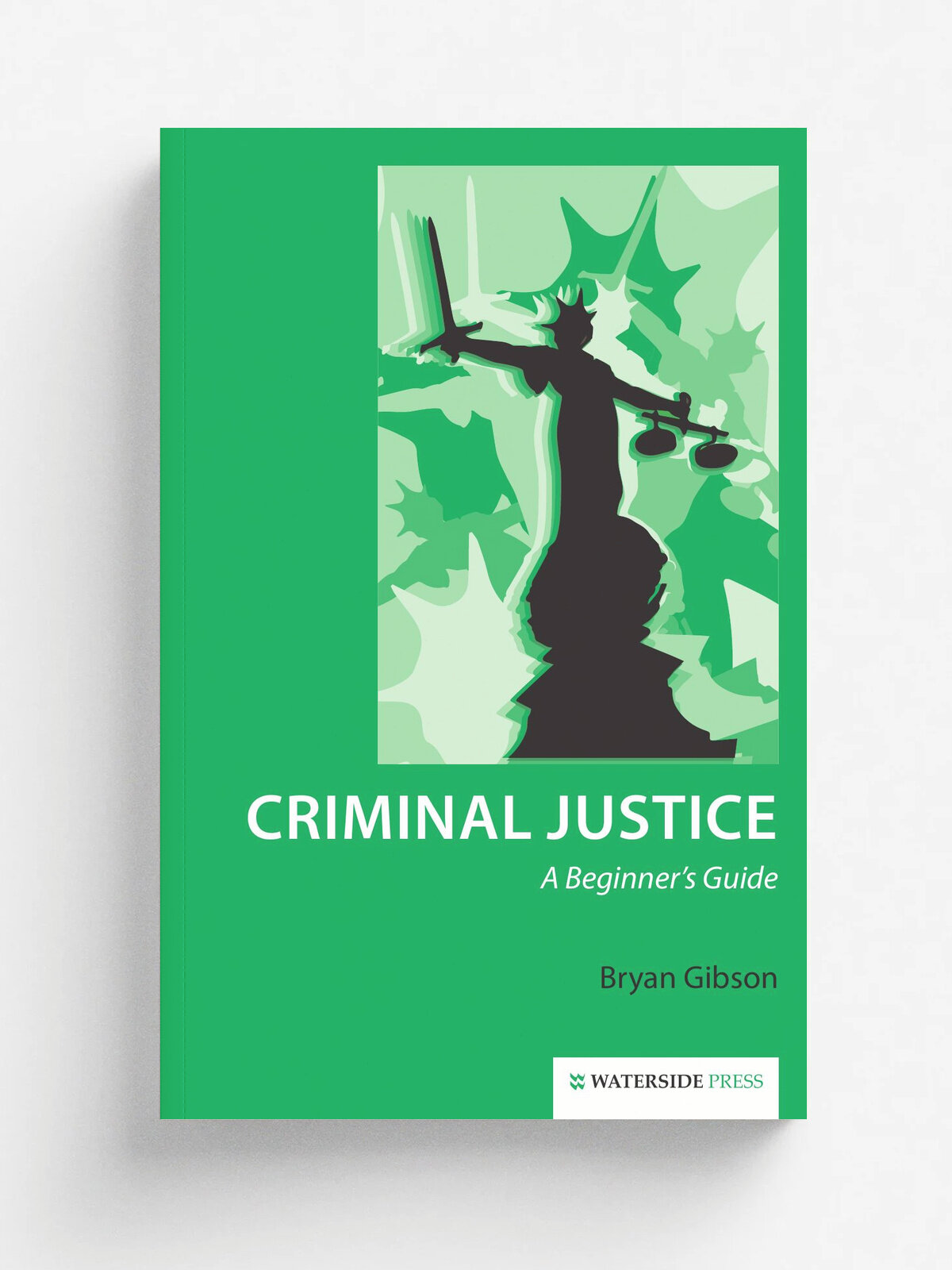 Criminal Justice. A Beginner's Guide