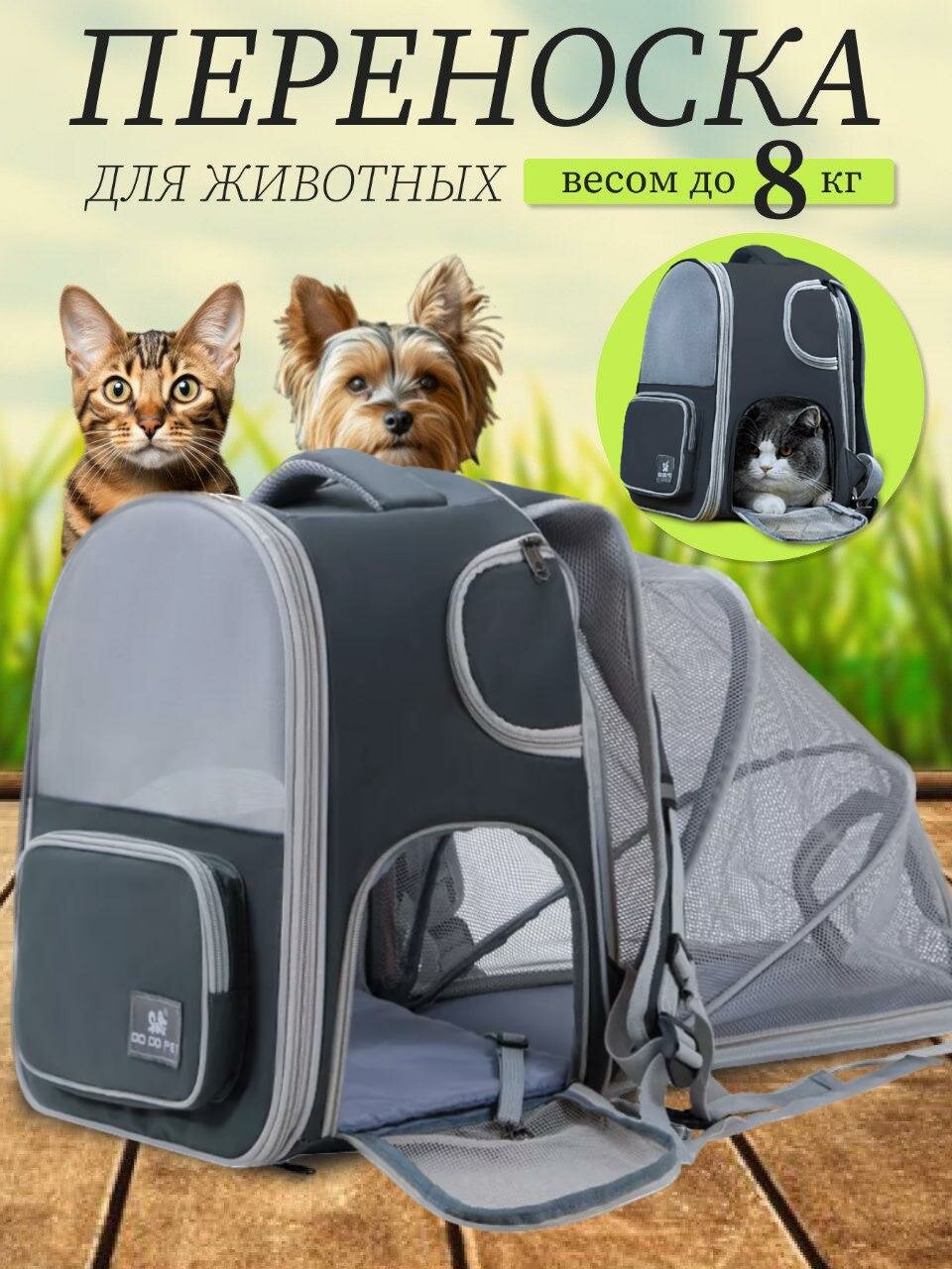 Переноска рюкзак для кошек и собак